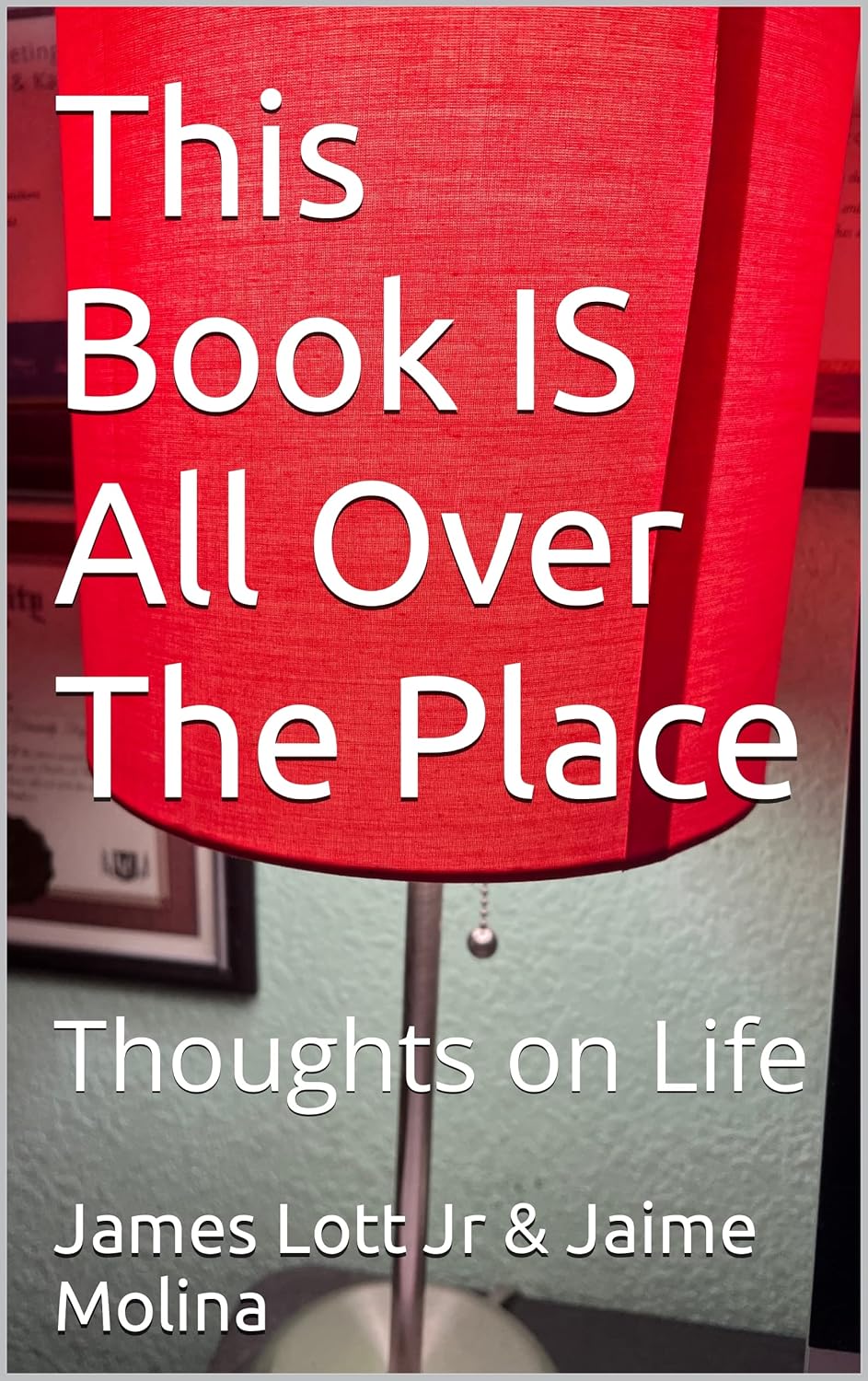 This Book IS All Over The Place: Thoughts on Life - Kindle edition by ...