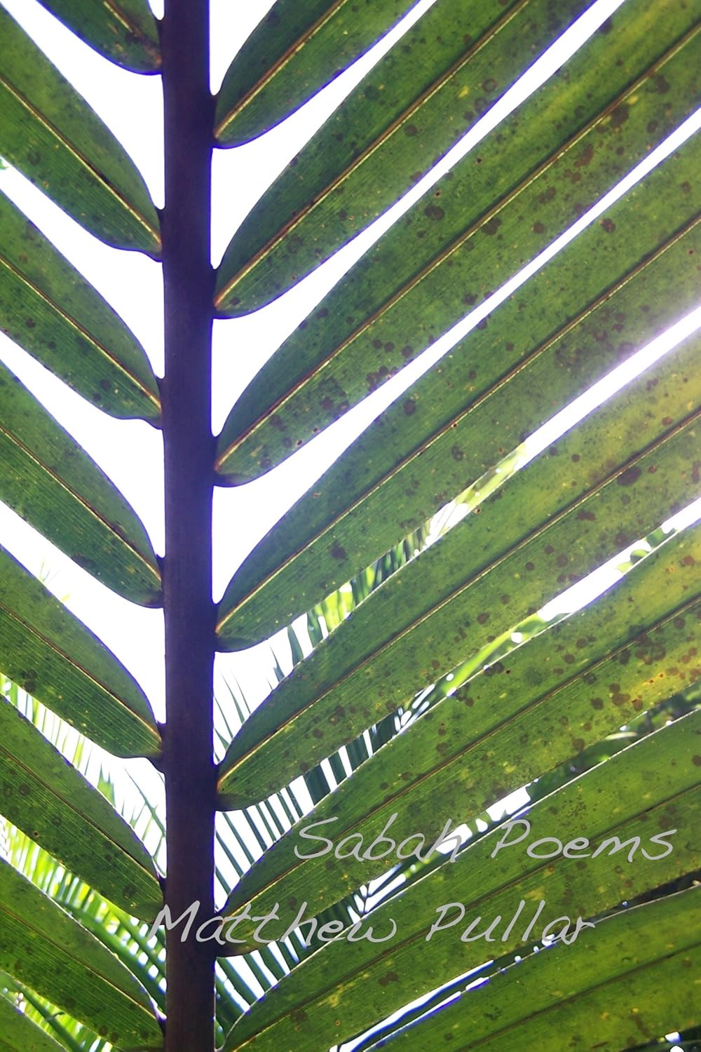 Sabah Poems - Kindle edition by Pullar, Matthew. Religion ...