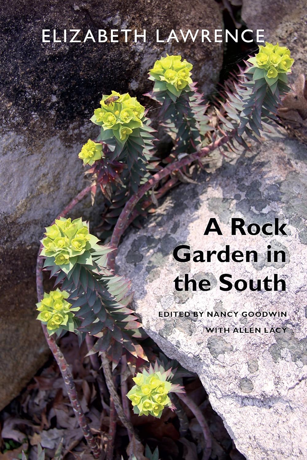 A Rock Garden in the South - Kindle edition by Lawrence, Elizabeth ...