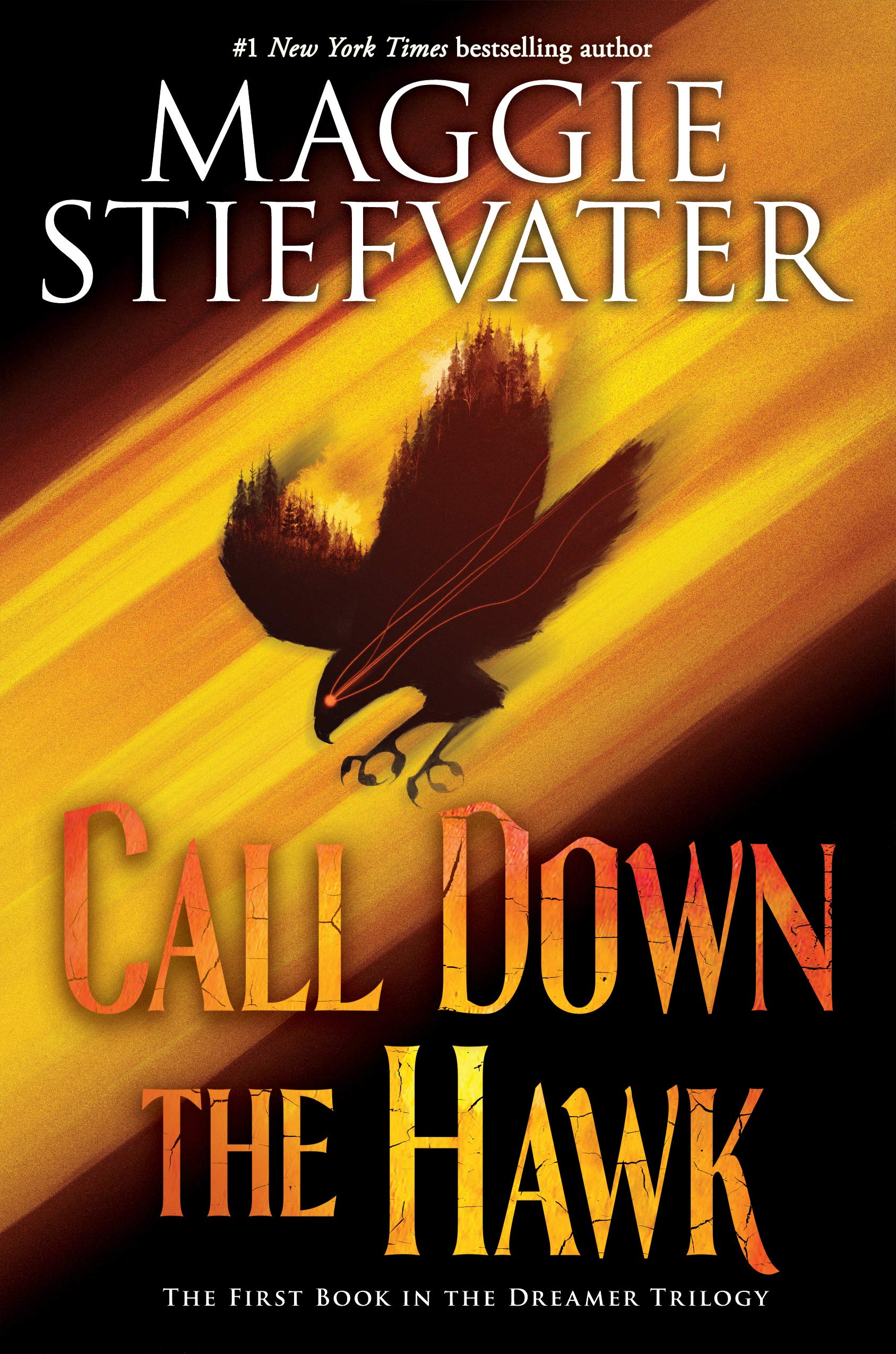 Amazon.com: Call Down the Hawk (The Dreamer Trilogy, Book 1) (1 ...