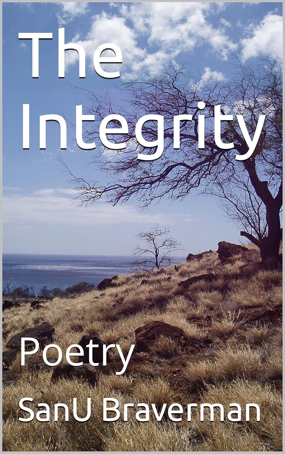 The Integrity : Poetry - Kindle edition by Braverman, SanU. Literature ...