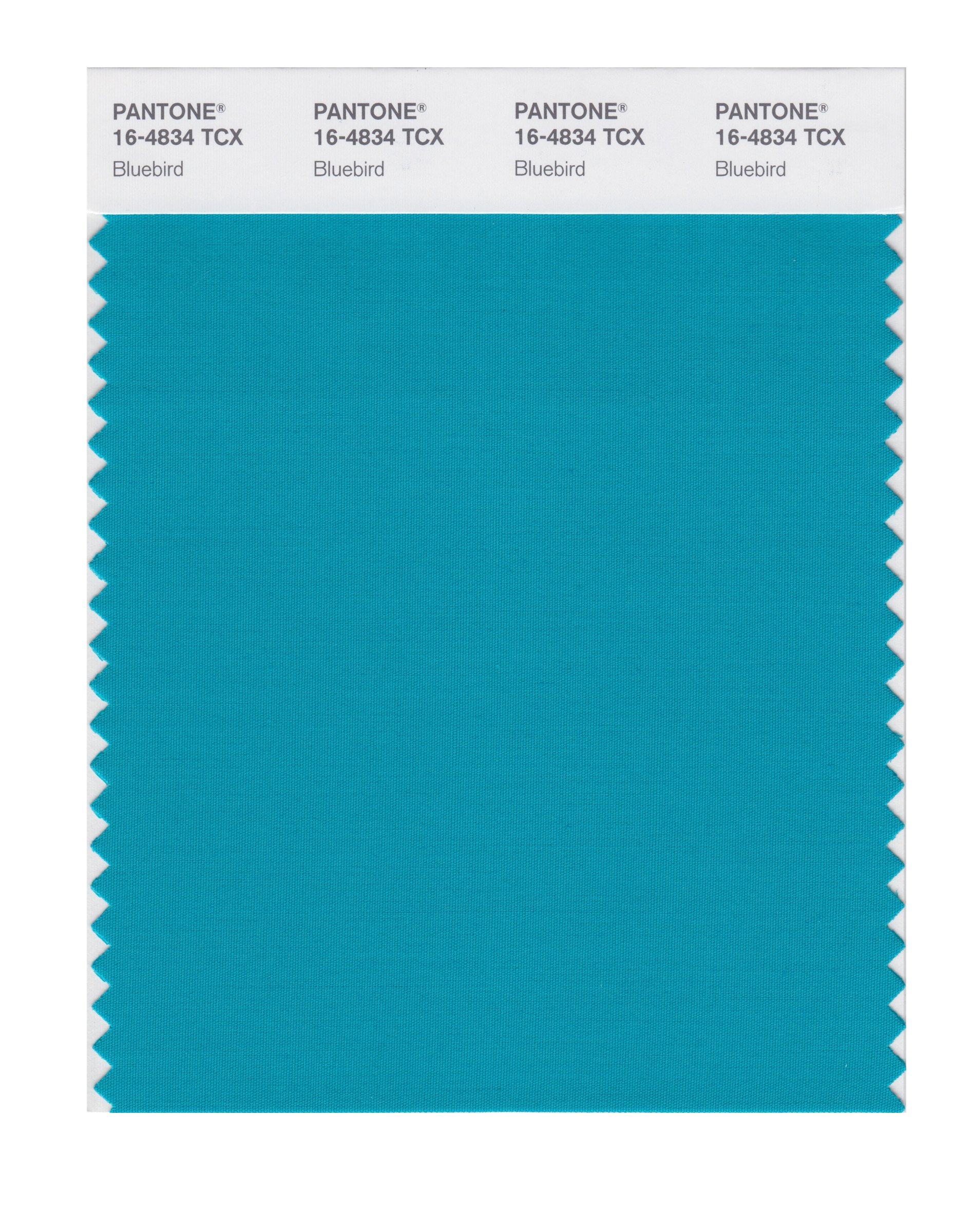 PANTONE Smart 16-4834X Color Swatch Card, Bluebird - Wall Decor ...
