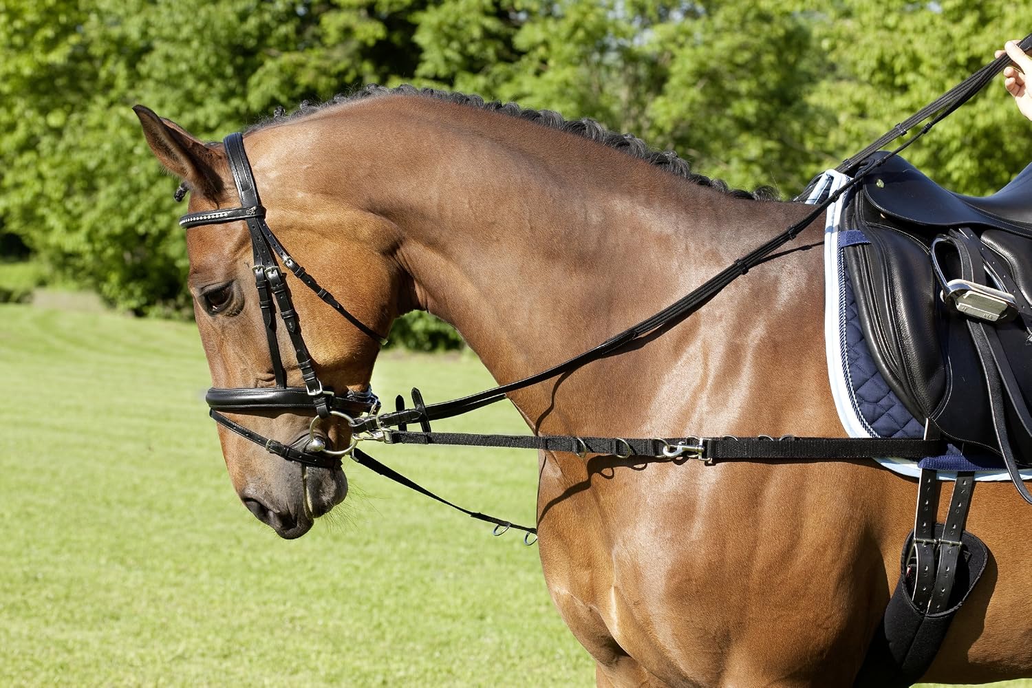 USG Side Reins Nylon with Silver Fittings, Black : Amazon.co.uk: Pet ...