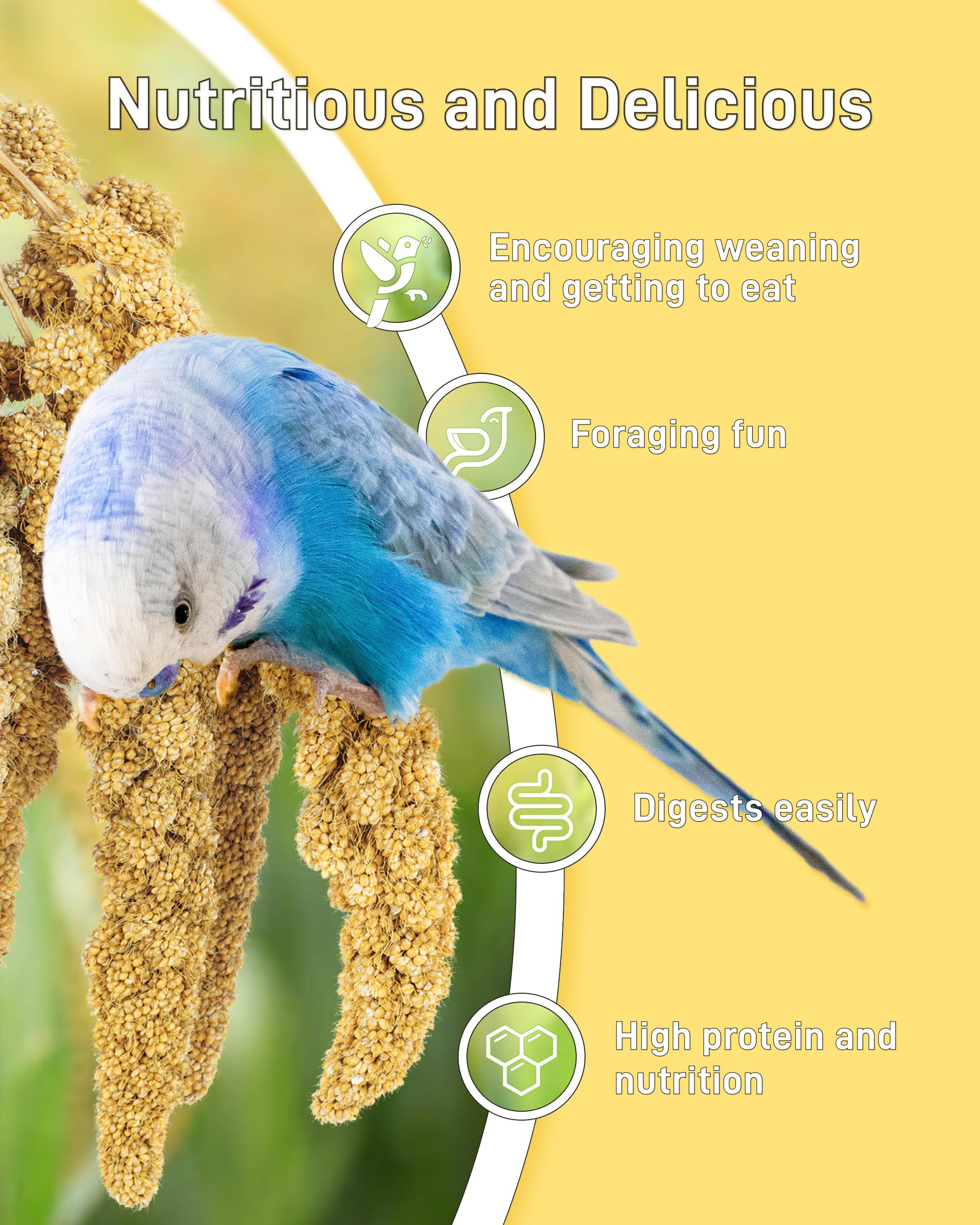 Snapklik.com : BUCATSTATE 2.2lbs Millet For Birds, Sun-Dried Parakeet ...