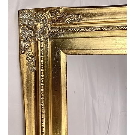 Amazon.com - TP Picture Frame 24 x 30 inch Antique Gold Ornate Baroque ...