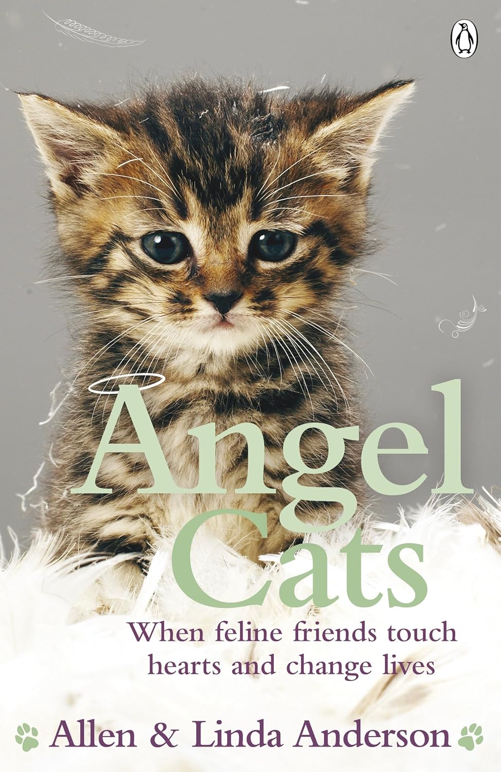 Angel Cats: When feline friends touch hearts and change lives: Amazon ...