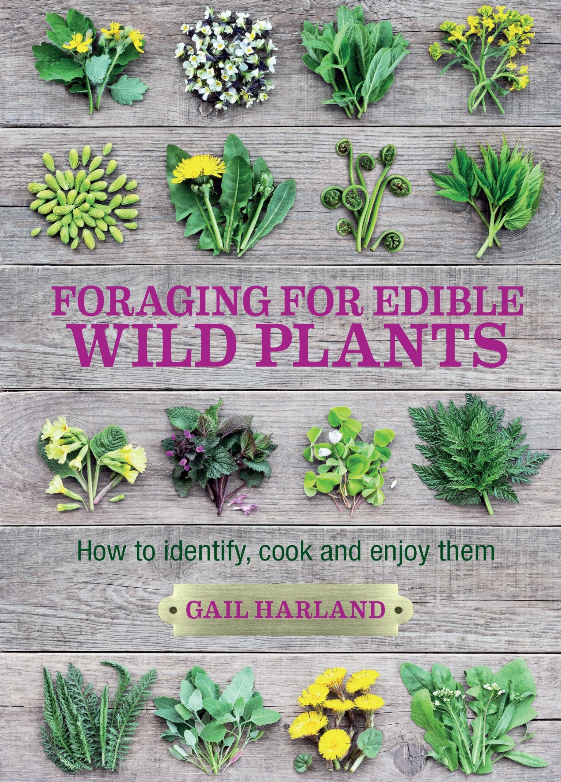 Foraging For Edible Wild Plants How To Identify Cook Enjoy | Desertcart UAE