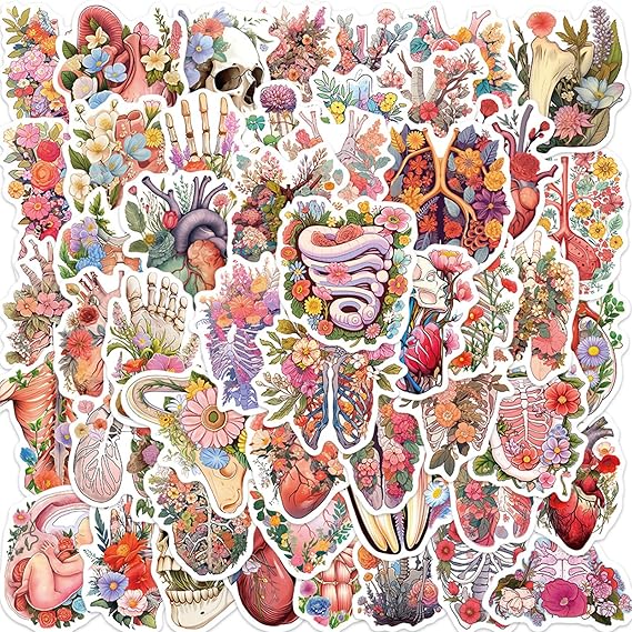 Amazon.com: 50Pcs Anatomy Stickers, Human Anatomy Decals, Body Part ...