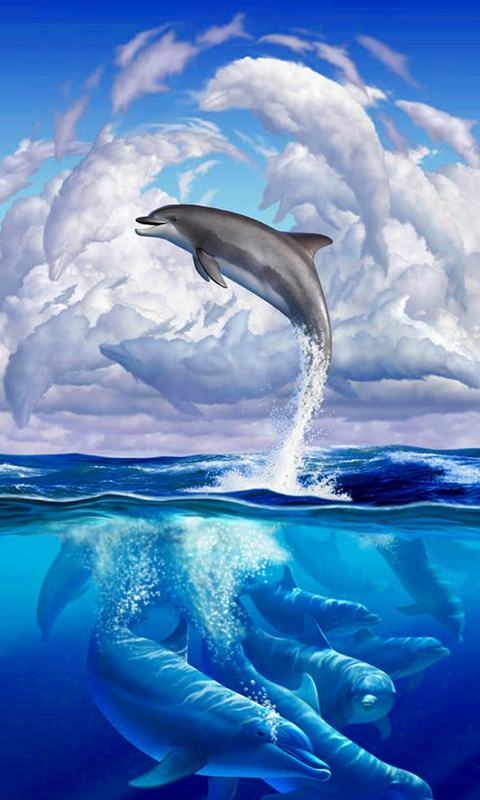 Dolphin Wallpaper HD:Amazon.de:Appstore for Android