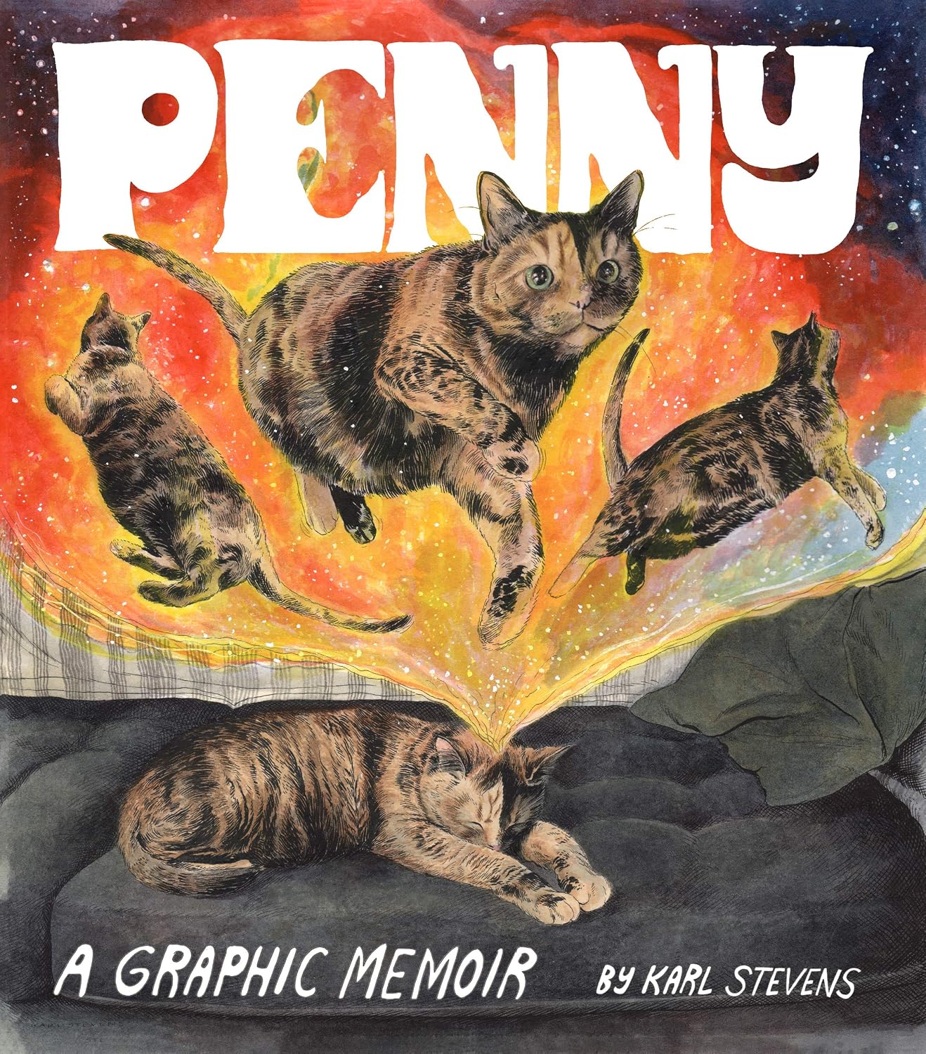 Amazon.com: Penny: A Graphic Memoir: 9781452183053: Stevens, Karl: Books