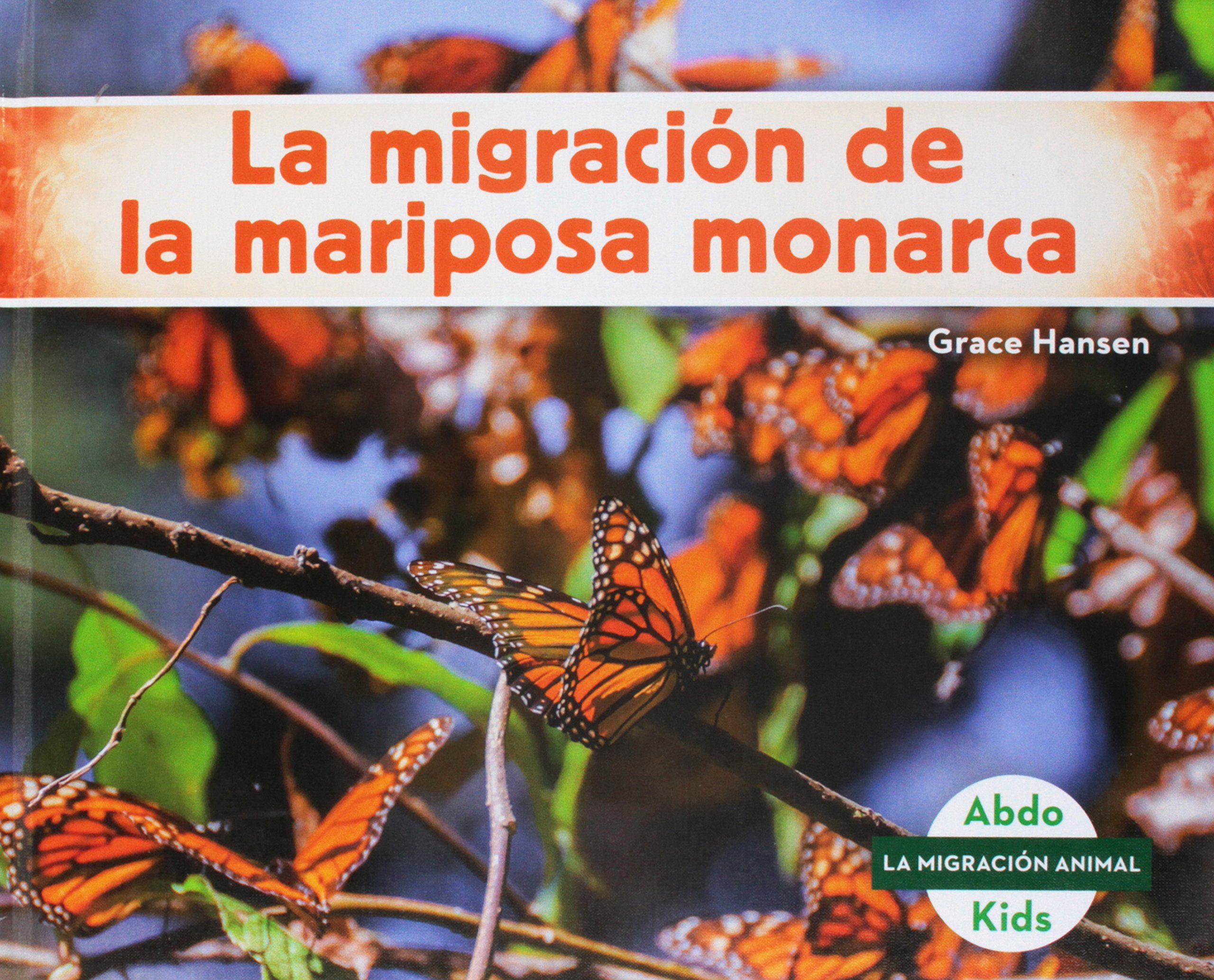 Buy La Migración de la Mariposa Monarca (Monarch Butterfly Migration ...
