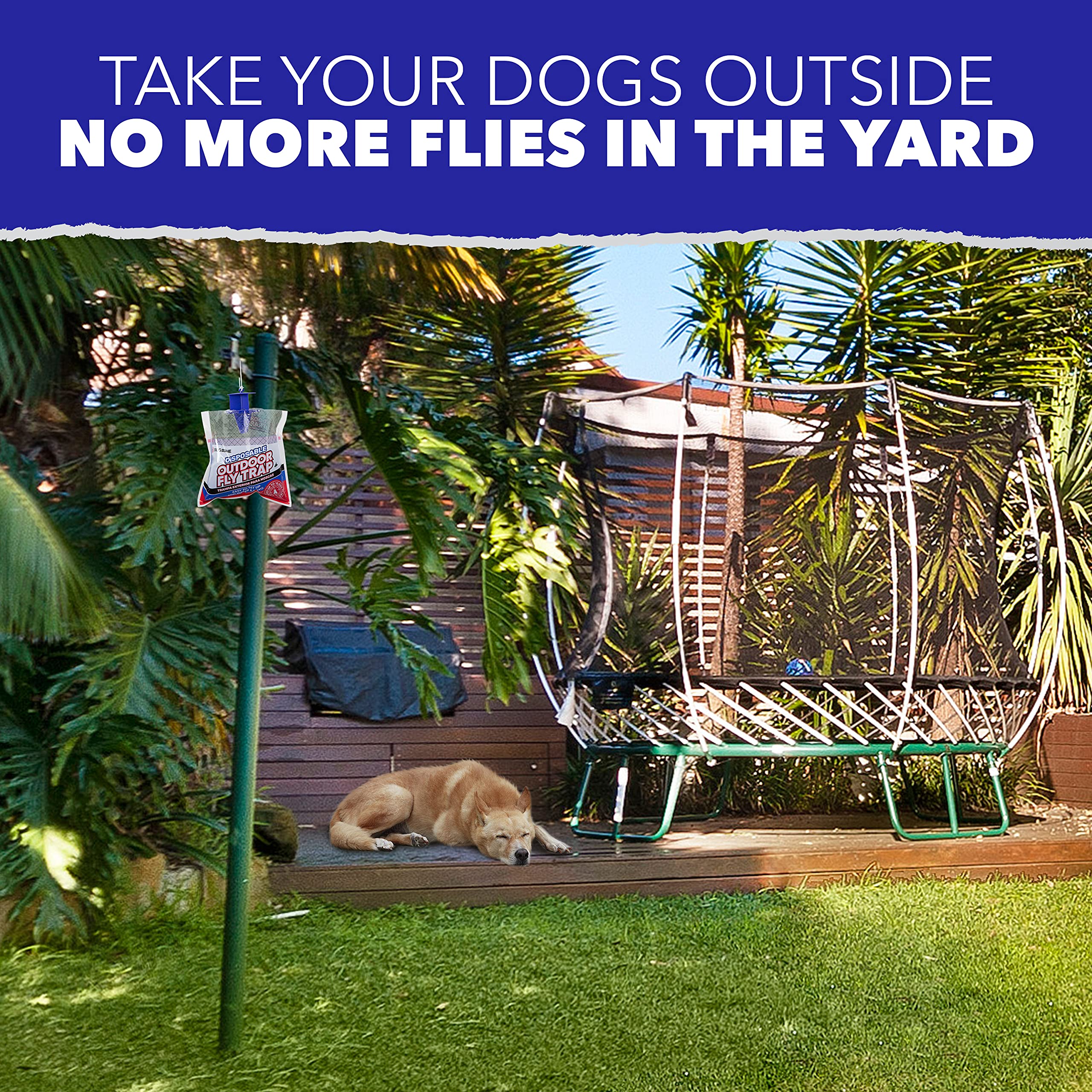 How To Catch Tabanids Horseflies Using Live Hosts Nets