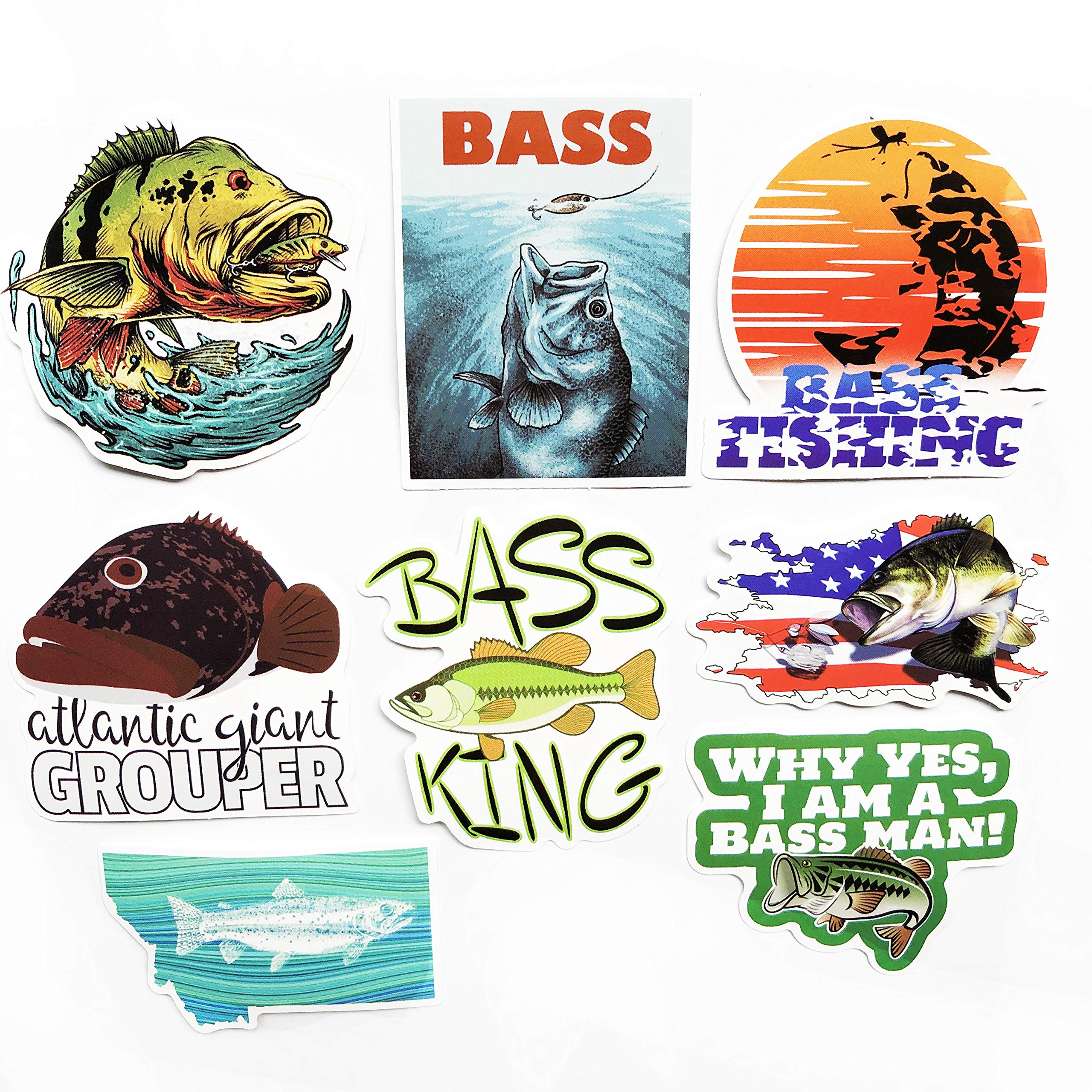 Go Fishing Stickers Many Kinds of Fly Fish Stickers 60Pcs Variety Vinyl ...