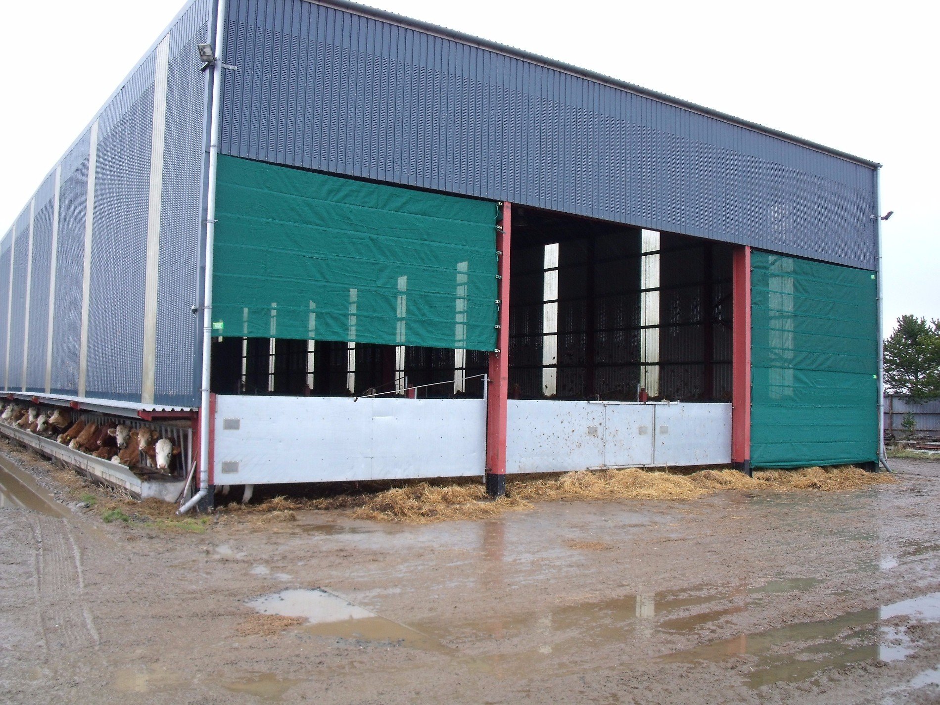 Buy 3 x Windbreak for farm sheds, buildings, cattle, storage, cow and ...