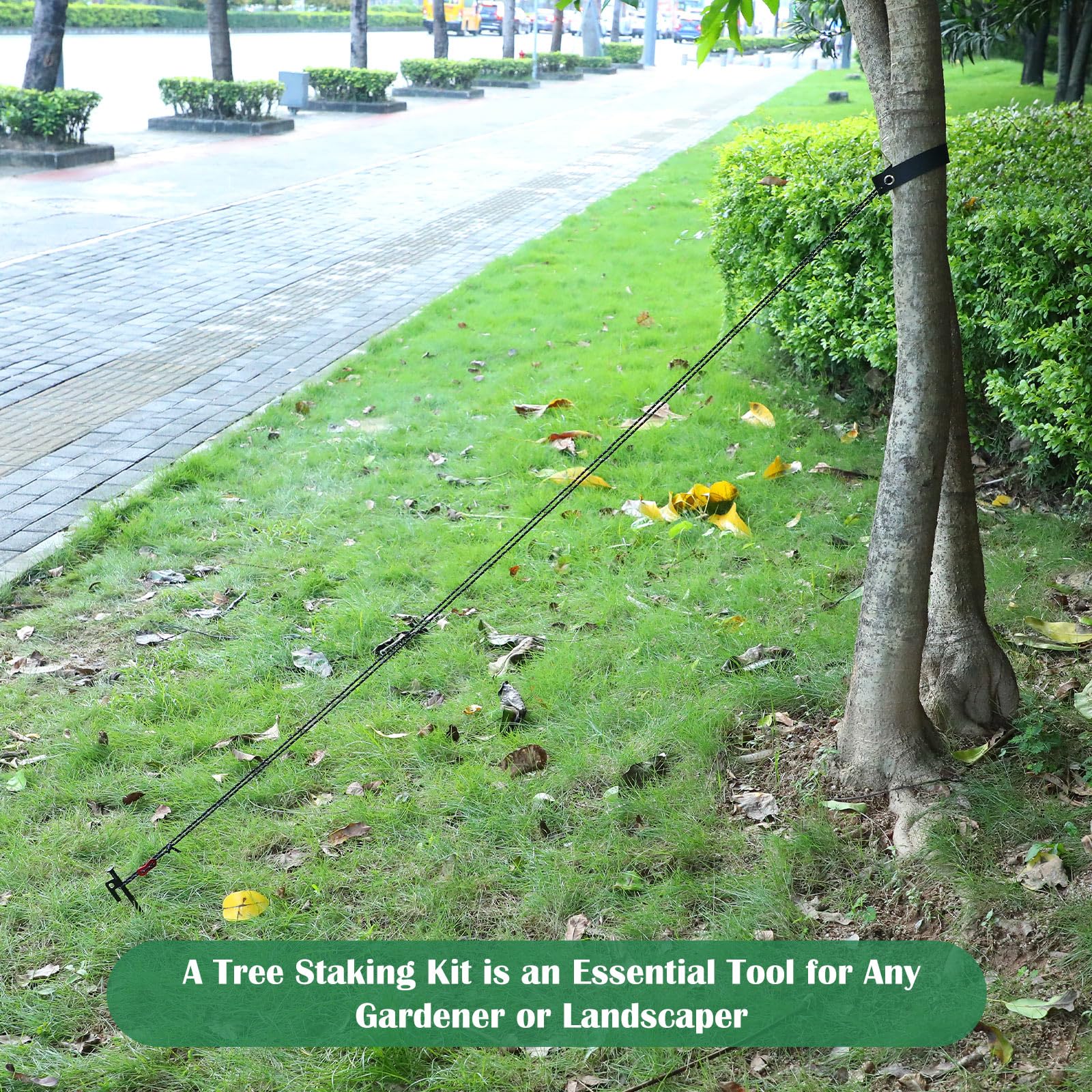 Snapklik.com : Suzile 48 Pcs Tree Stakes And Supports Heavy Duty Tree ...