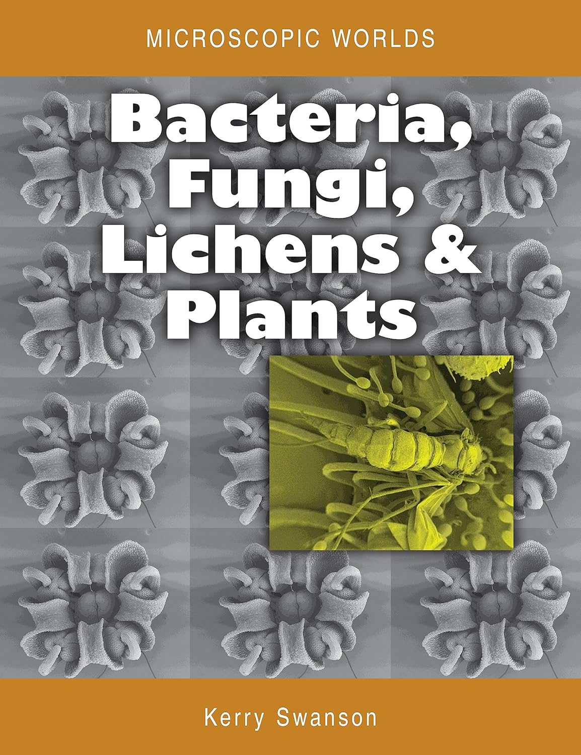 Microscopic Worlds [OP]: Bacteria, Fungi, Lichens and Plants (Natural ...