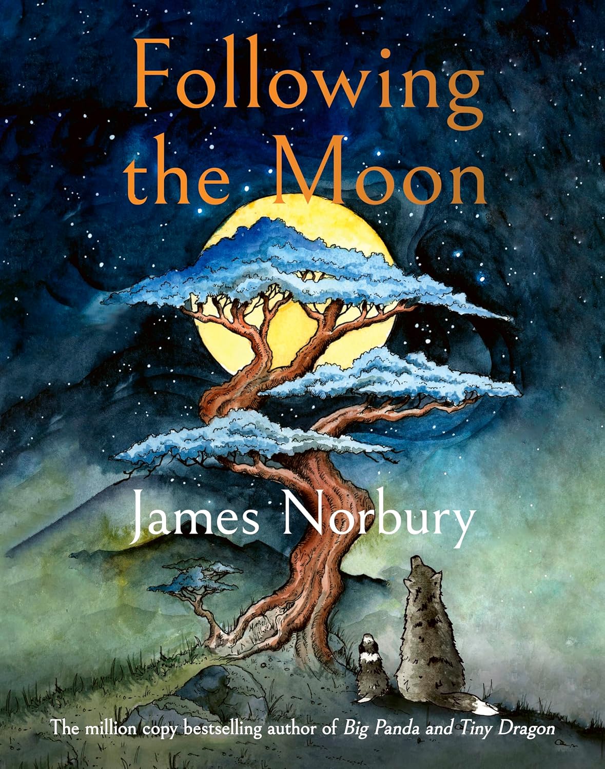 Following the Moon: A beautifully illustrated tale from the author of ...