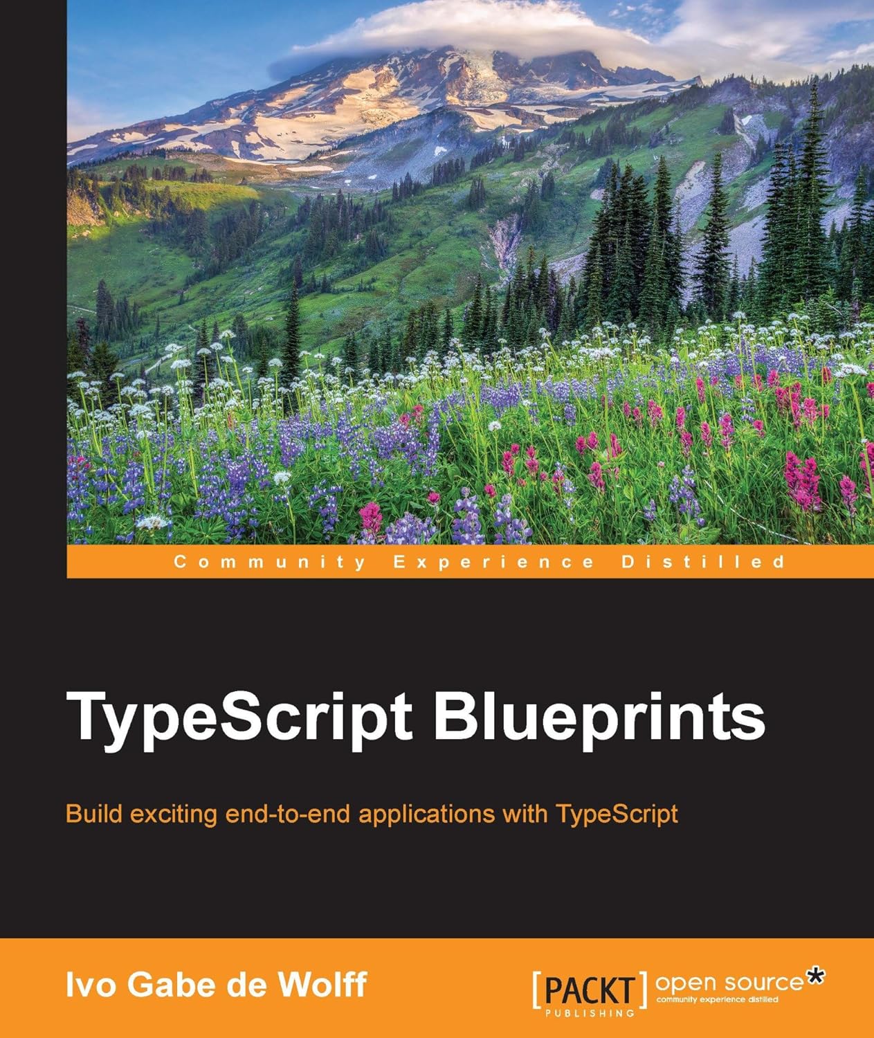 Amazon.com: TypeScript Blueprints eBook : Wolff, Ivo Gabe de: Kindle Store