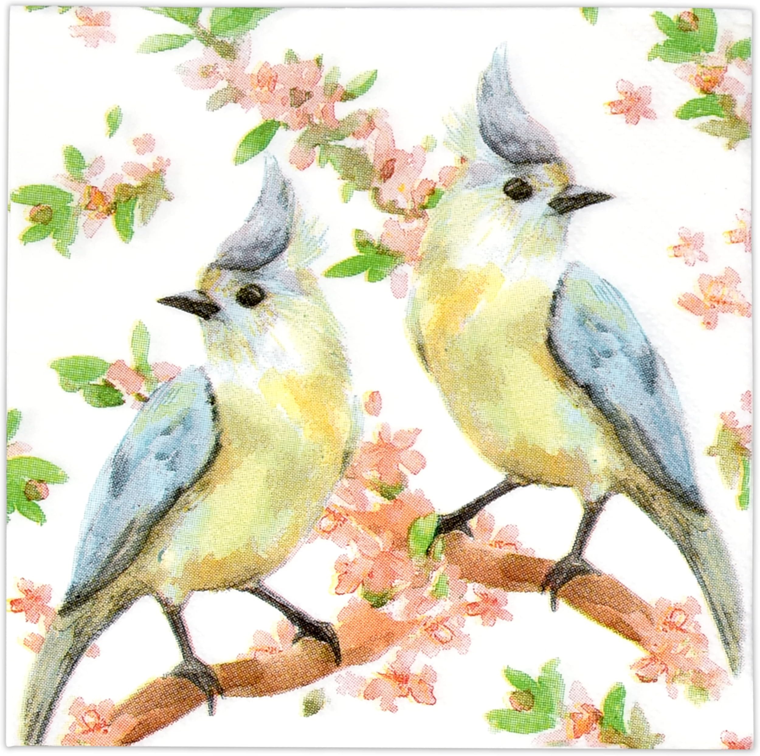 Amazon.com: Bird Nest Napkins BLUE BIRDS NEST 40pcs Cocktail Napkins ...