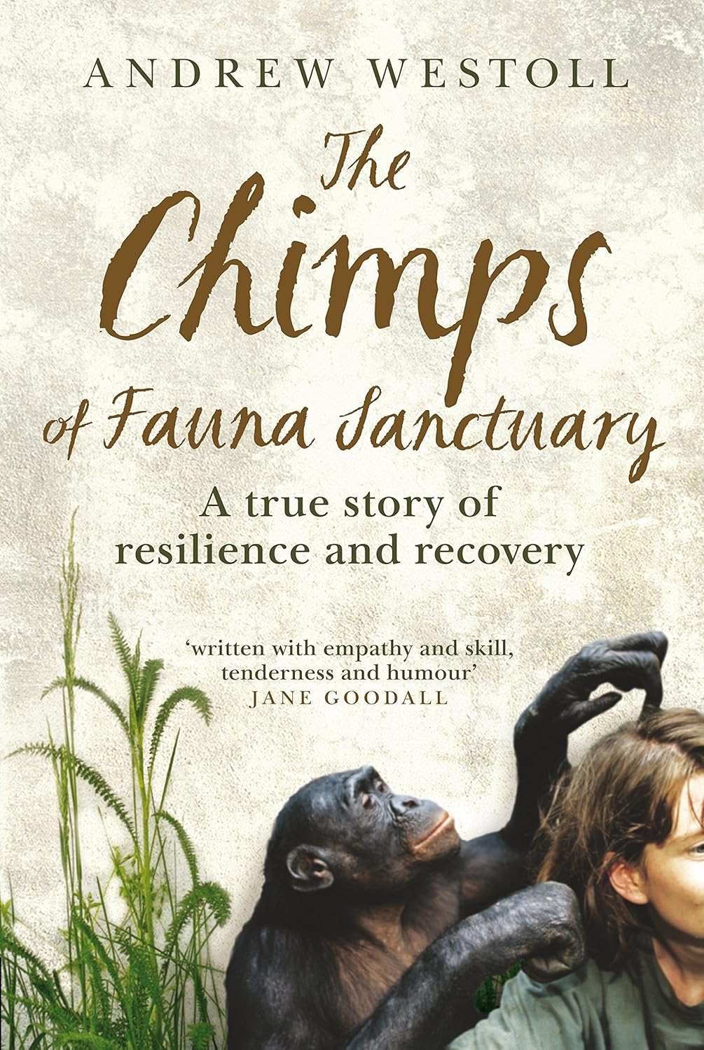The Chimps of Fauna Sanctuary: A true story of resilience and recovery ...