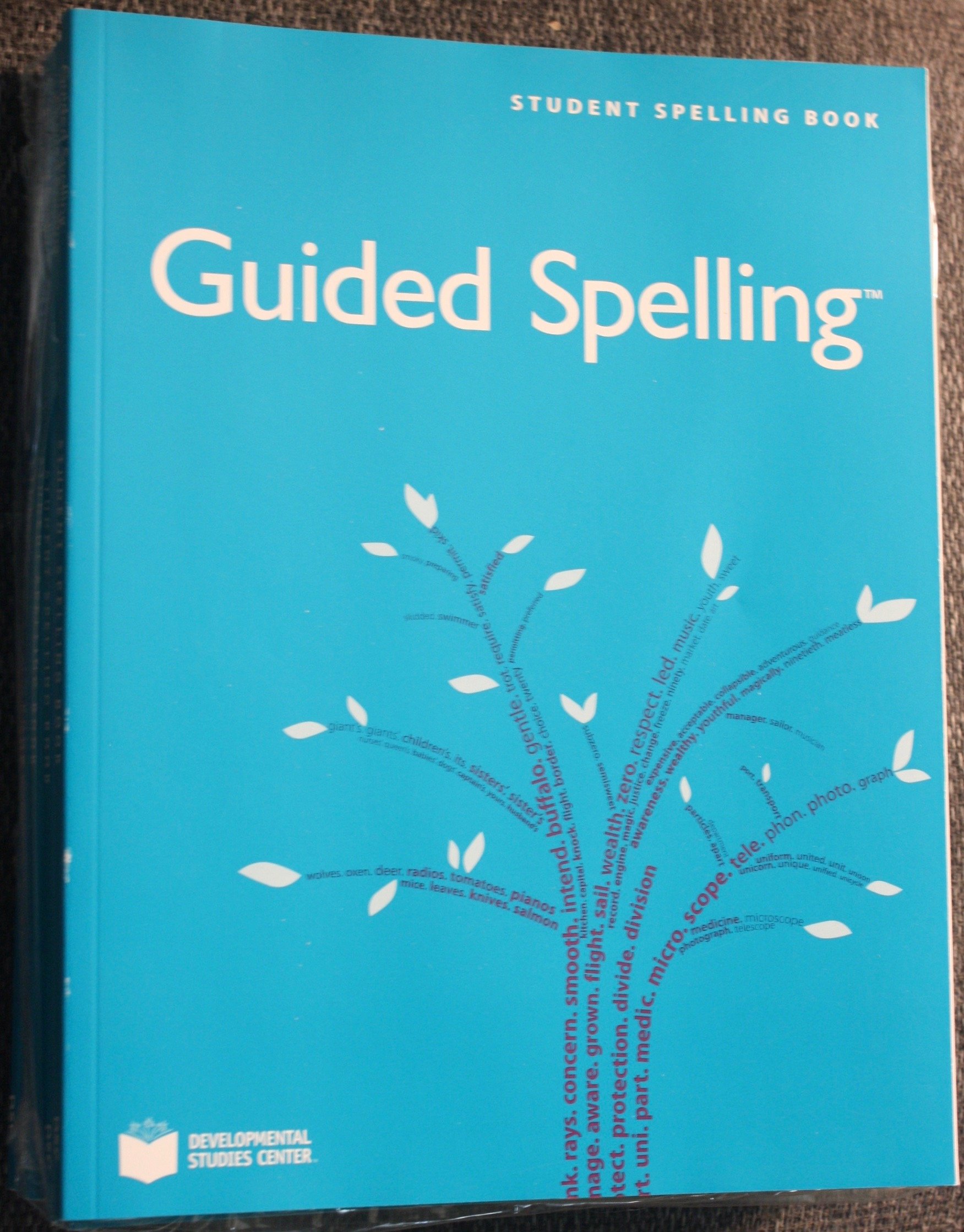 Guided Spelling Student Spelling Book: unknown author: 9781598921274 ...