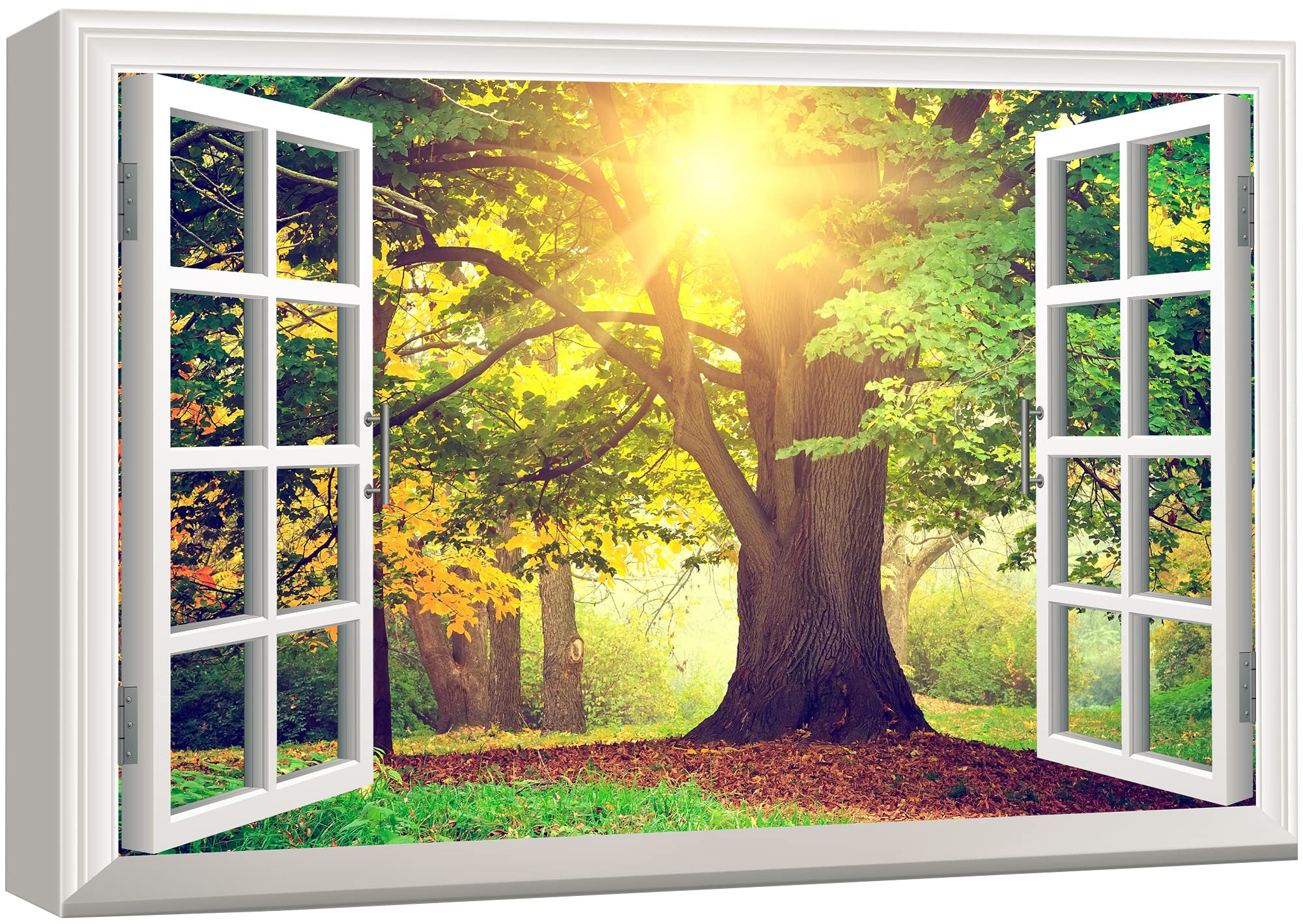Amazon.com: wall26 Canvas Print Wall Art Window View to Sunlight ...