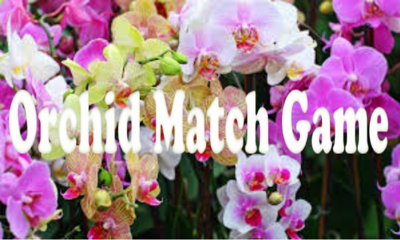 Orchid Match Game:Amazon.com:Appstore for Android