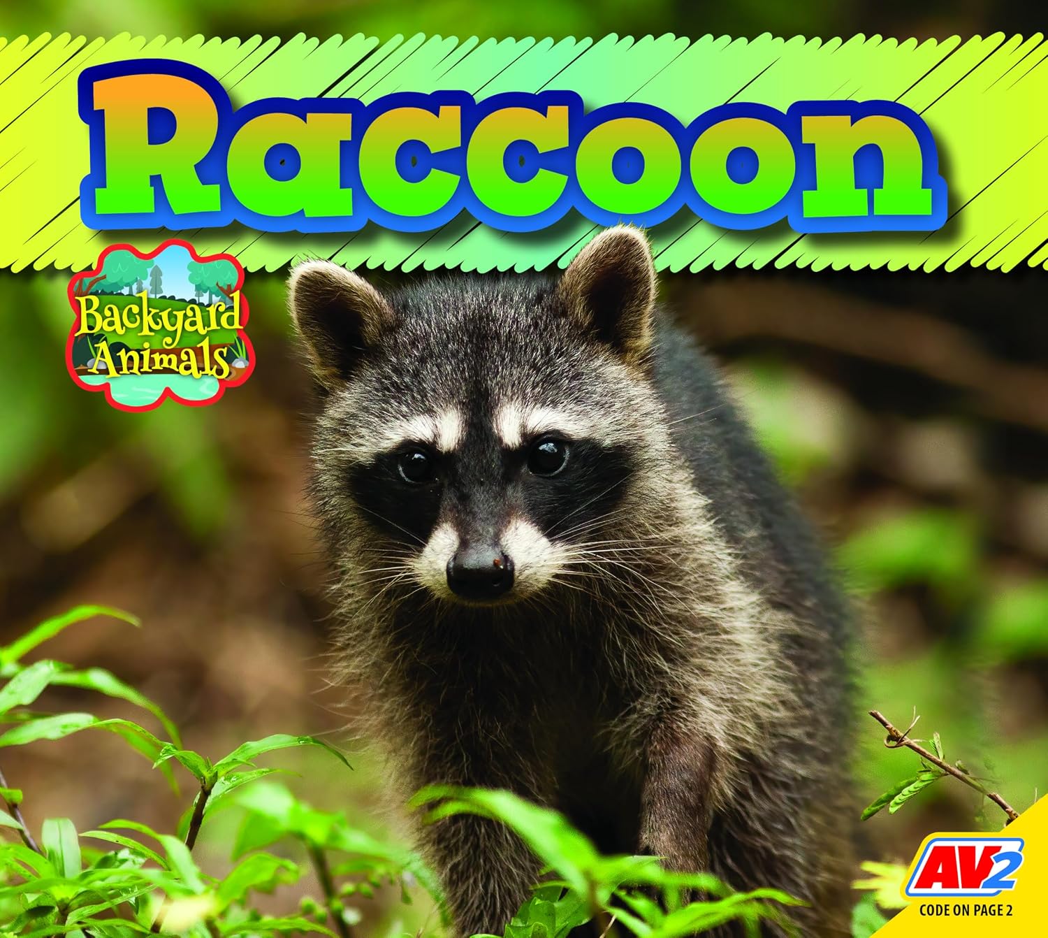Buy Raccoon (Backyard Animals) Book Online at Low Prices in India ...