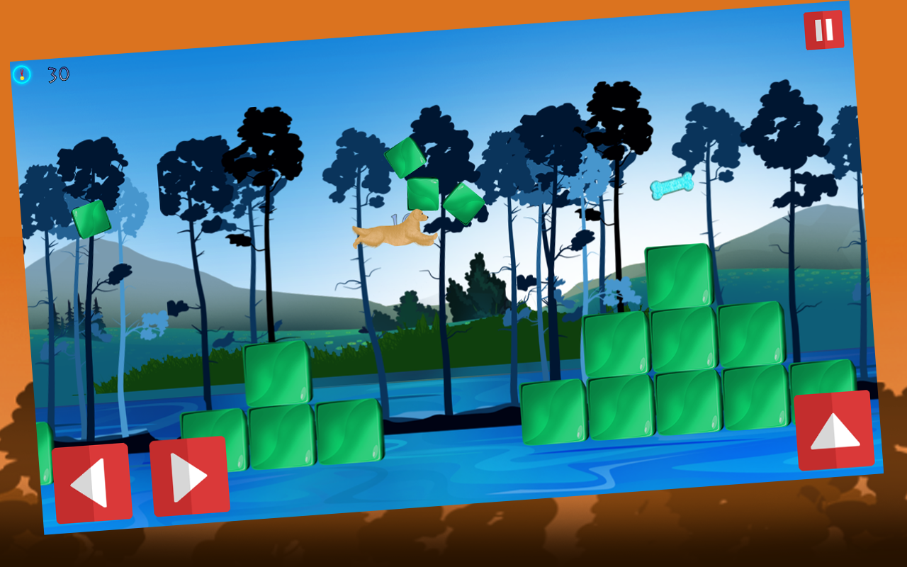 Dog Agility 2 : Obstacles Dressage Race Contest Extreme Fun Edition ...