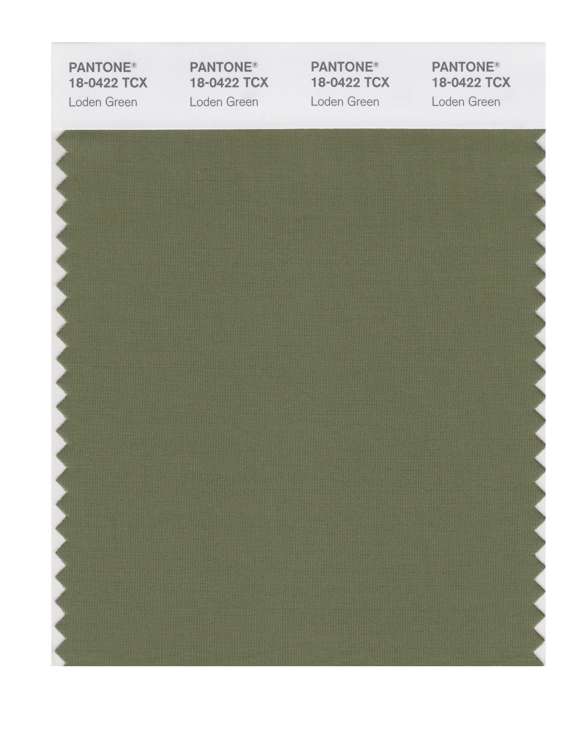 Buy Pantone Smart Swatch 18-0422 Loden Green Online at desertcartINDIA