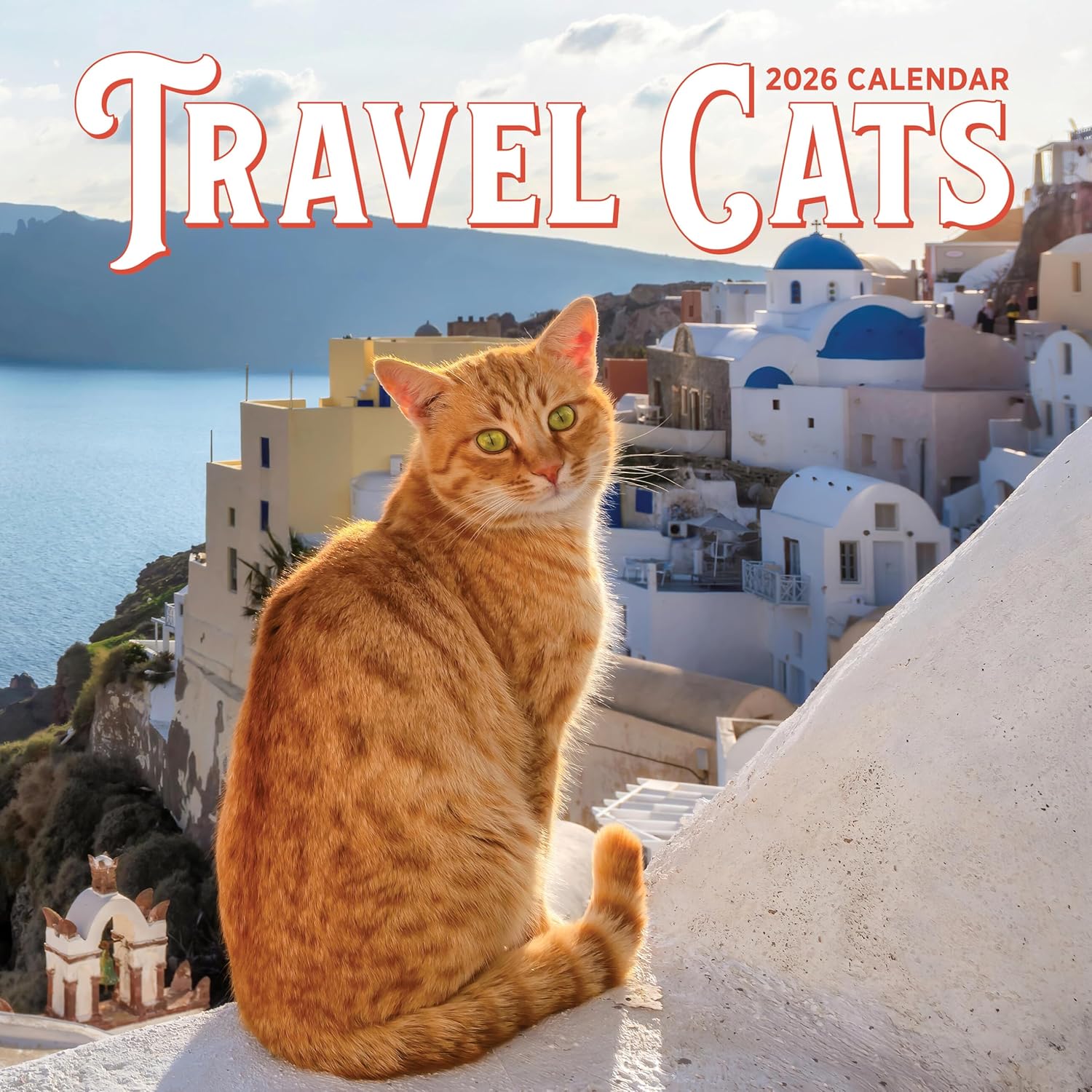 Travel Cats Wall Calendar 2026: Workman Publishing: 9781523530434 ...