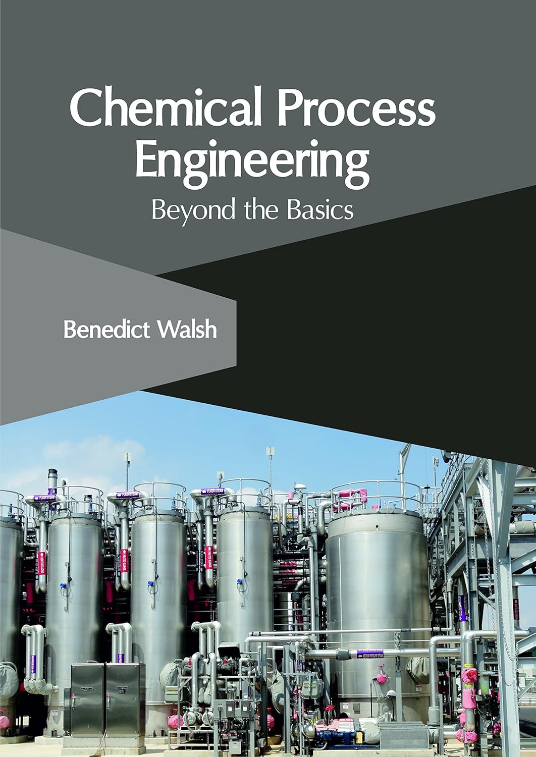 Amazon.com: Chemical Process Engineering: Beyond the Basics ...
