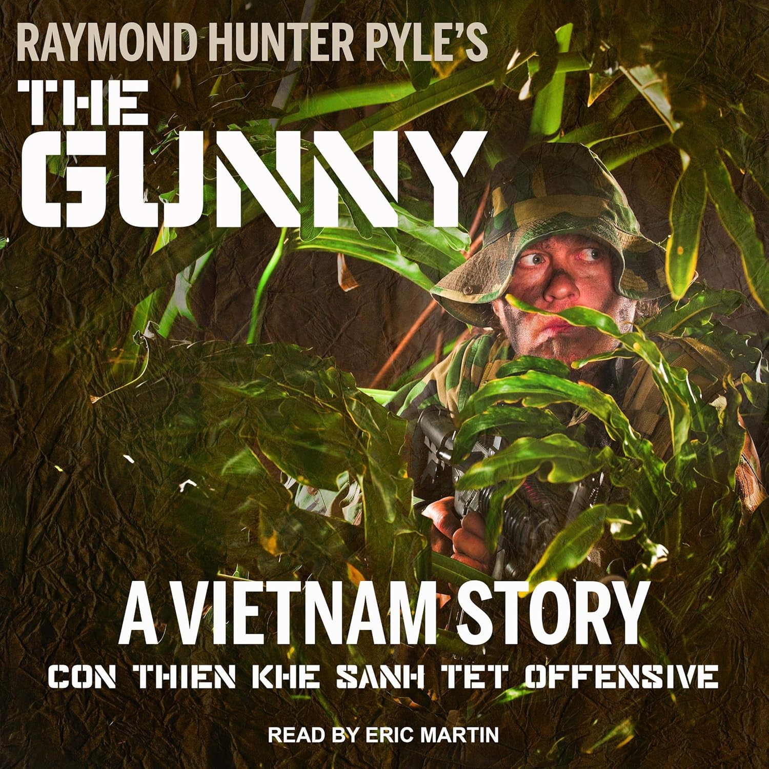 Amazon.com: The Gunny: A Vietnam Story (Audible Audio Edition): Raymond ...
