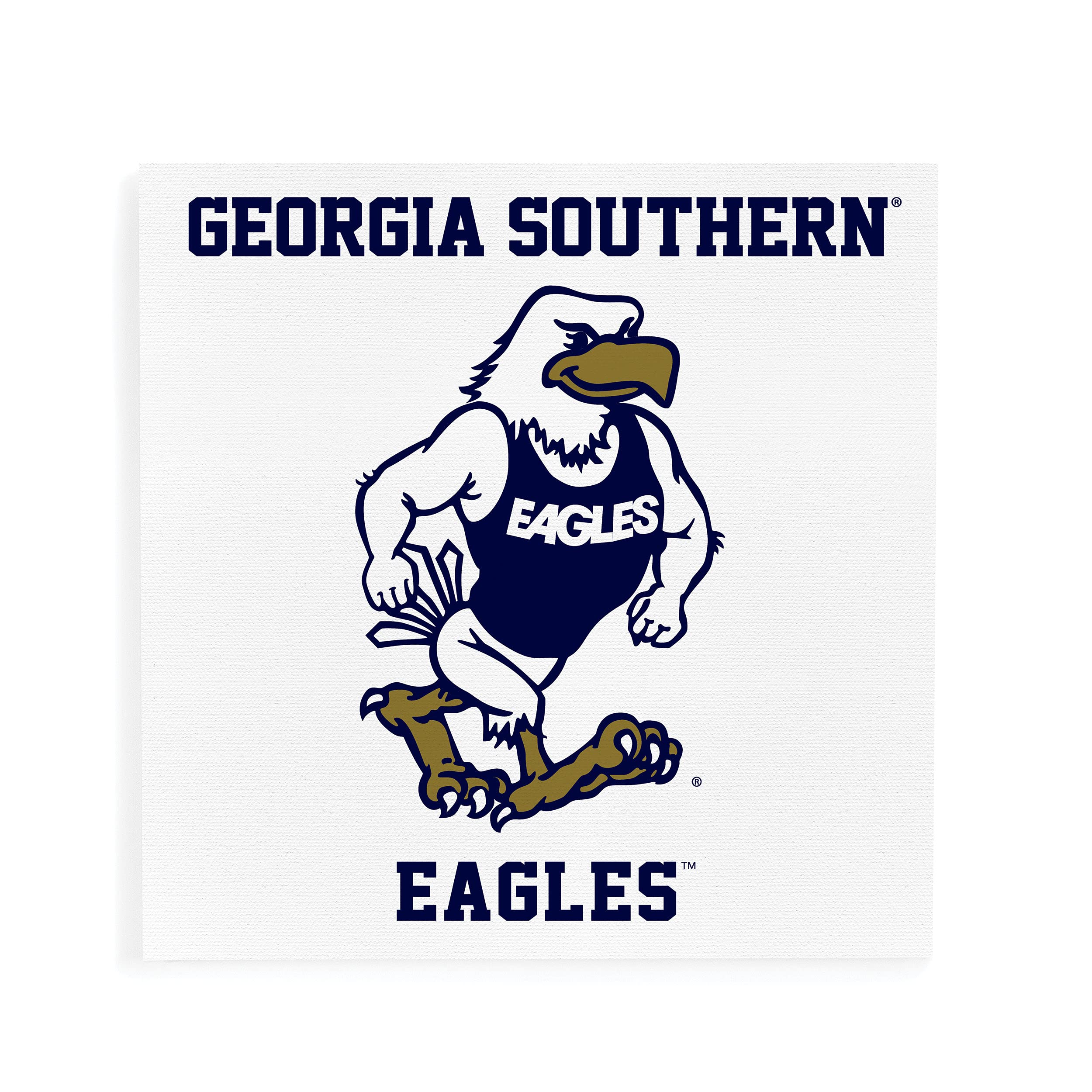 Ga Southern Logo Amazon.com: College Flags & Banners Co. Georgia