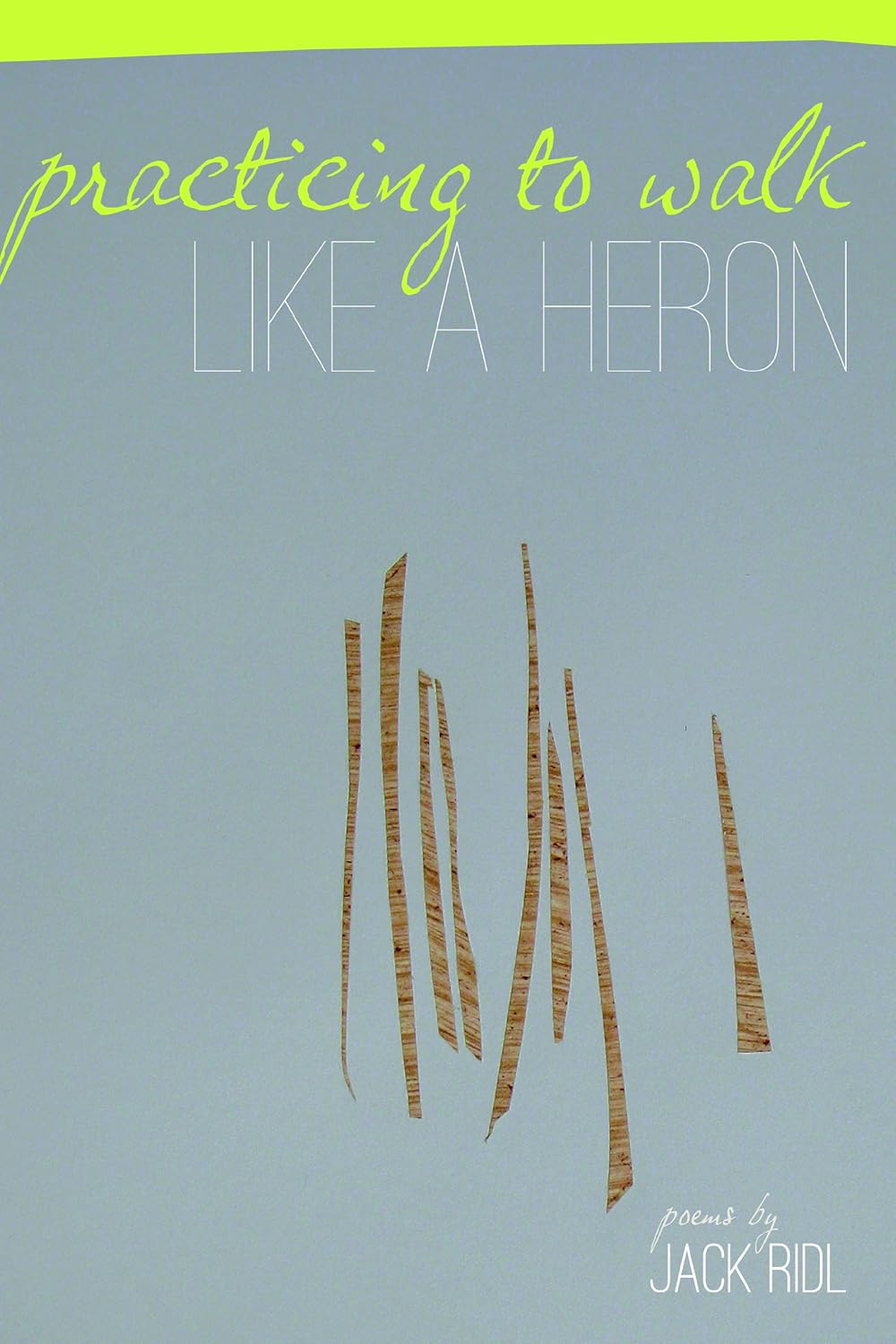 Amazon.com: Practicing to Walk Like a Heron (Made in Michigan Writer ...