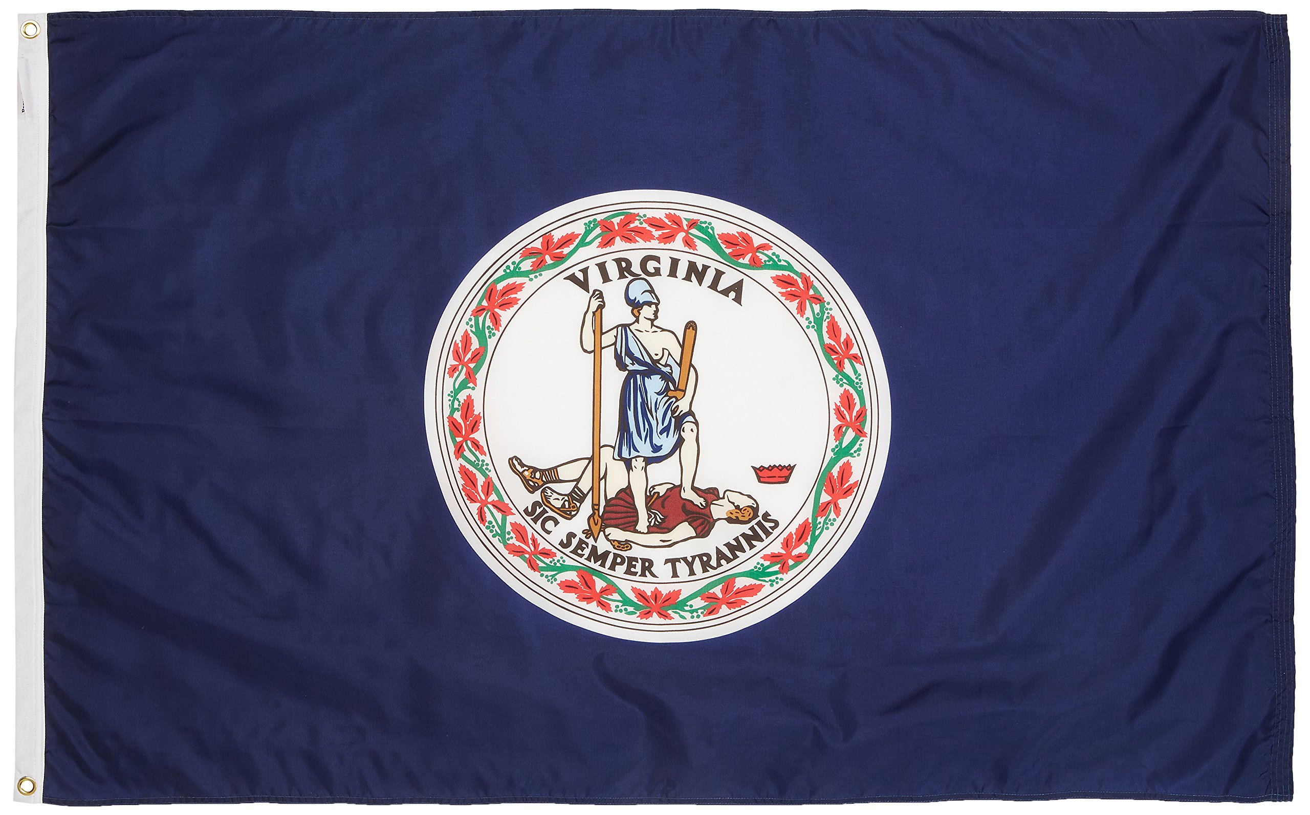 Amazon.com : Valley Forge, Virginia State Flag, Nylon, 3' x 5', 100% ...