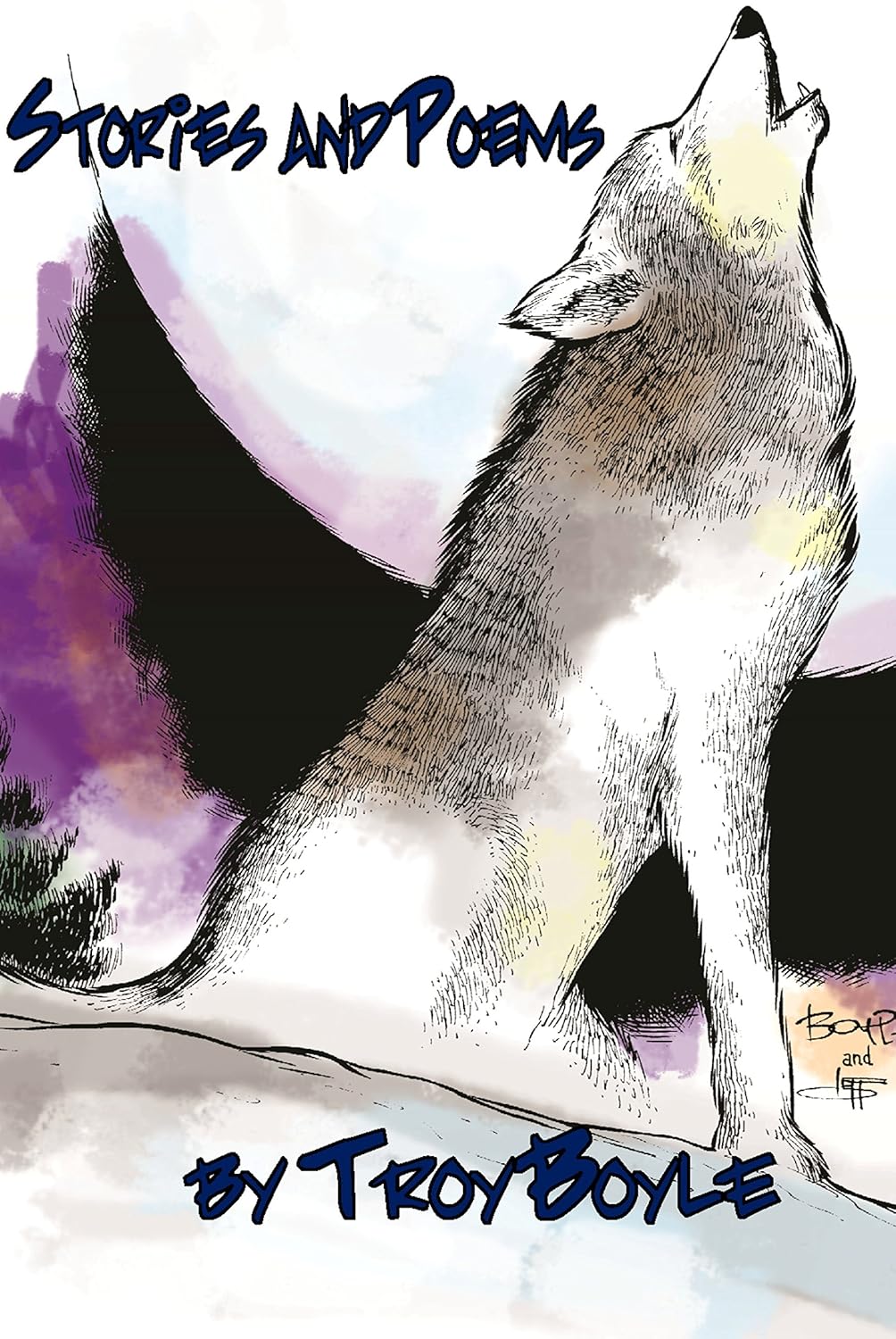 Amazon.com: Stories and Poems eBook : Boyle, Troy, Boyle, Troy, Austin ...