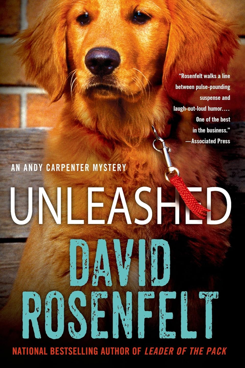 Amazon.com: Unleashed: An Andy Carpenter Mystery eBook : Rosenfelt ...