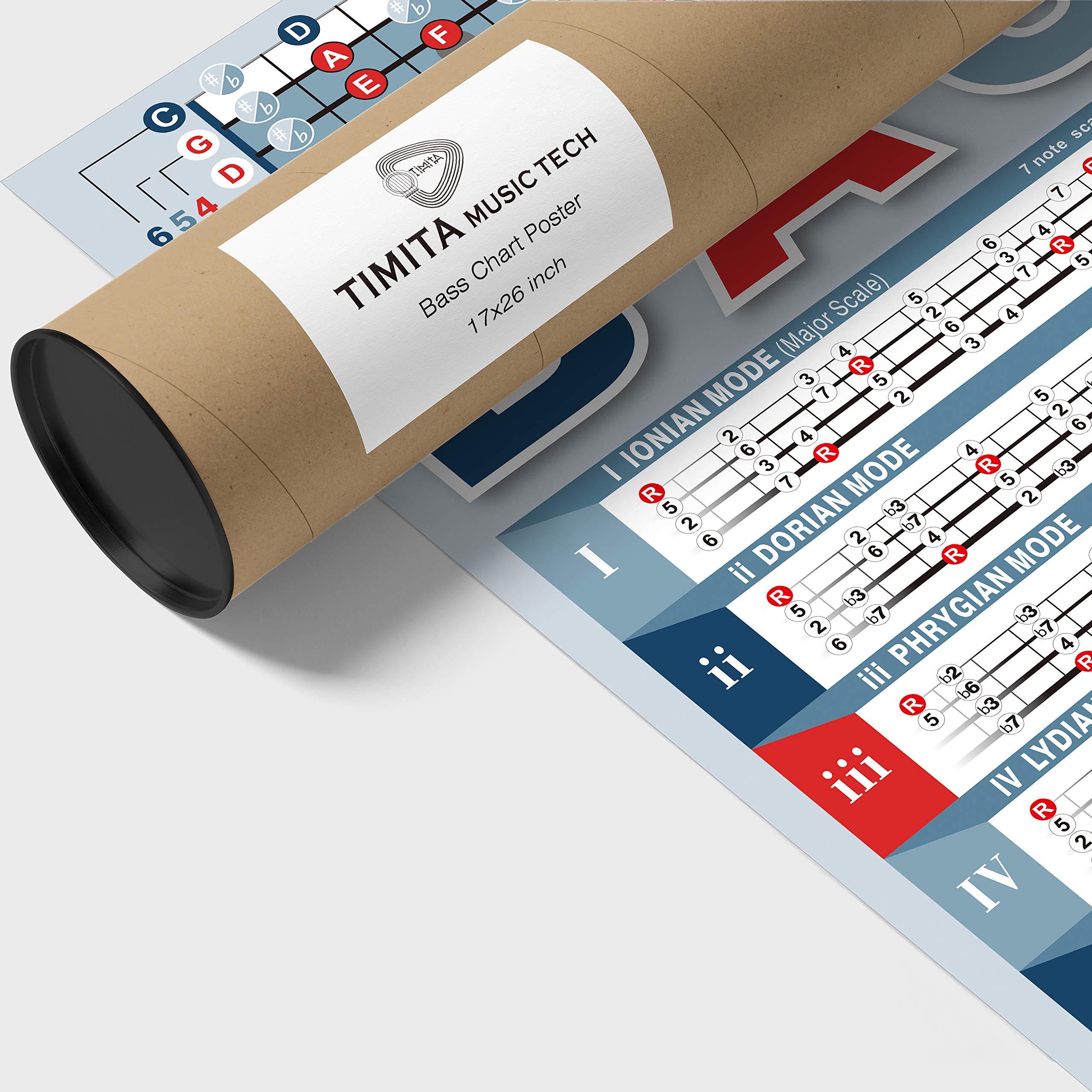 Bass Note Chart of Scale Chords | Bass Reference Poster for Beginners ...