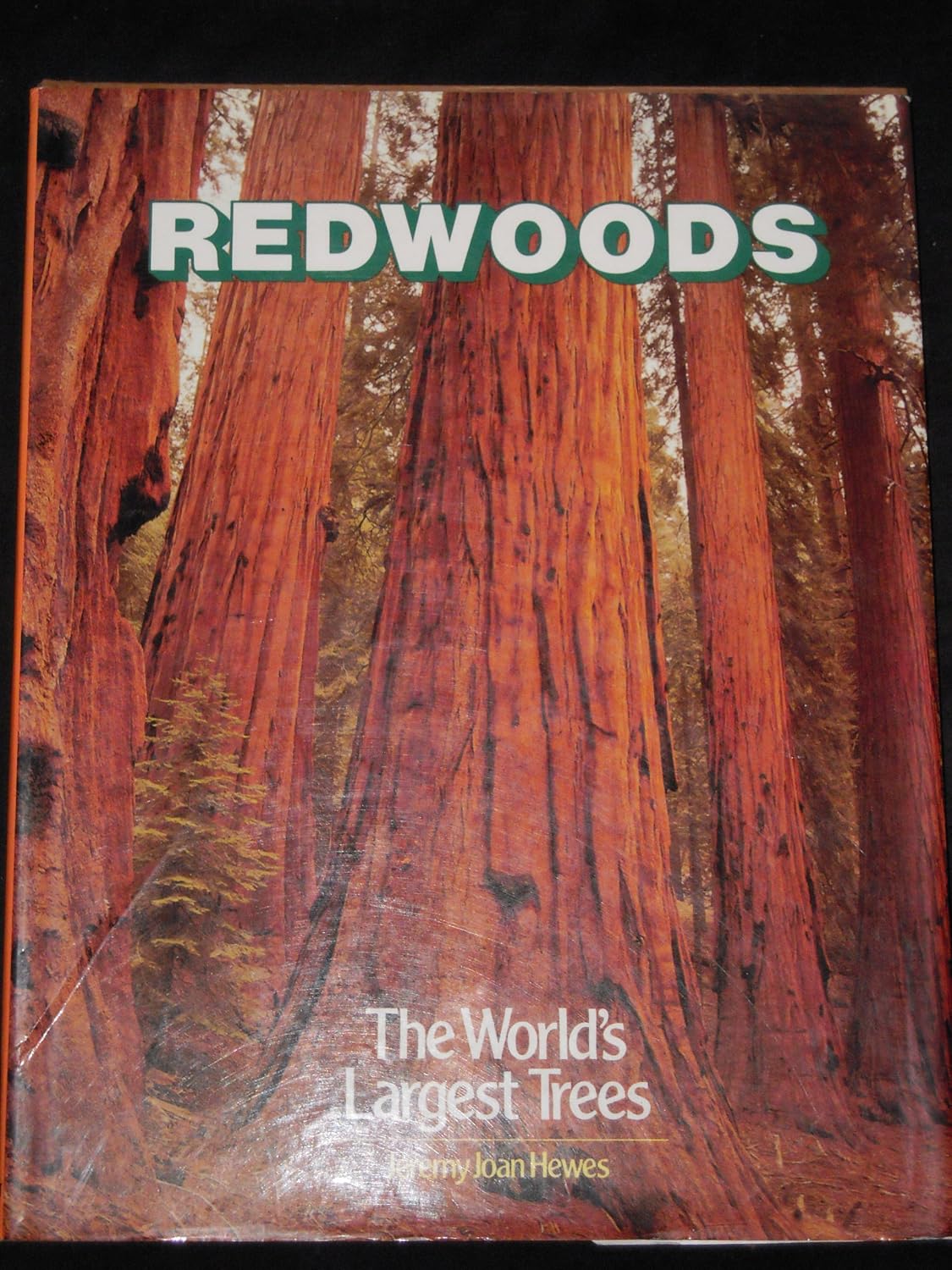Redwoods The World's Largest Trees: Hewes, Jeremy Joan: 9780600355816 ...