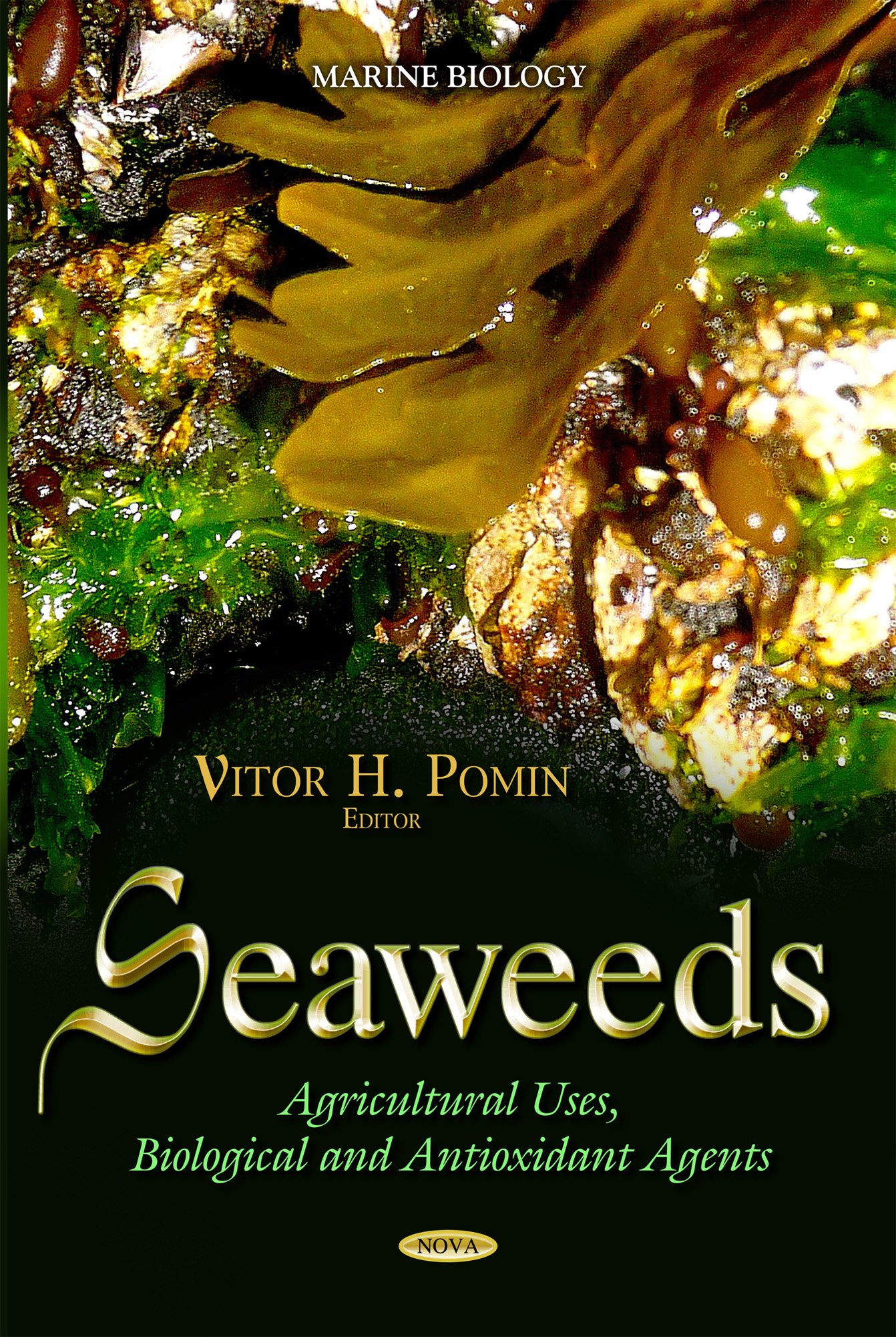 Seaweeds: Agricultural Uses, Biological and Antioxidant Agents (Marine ...