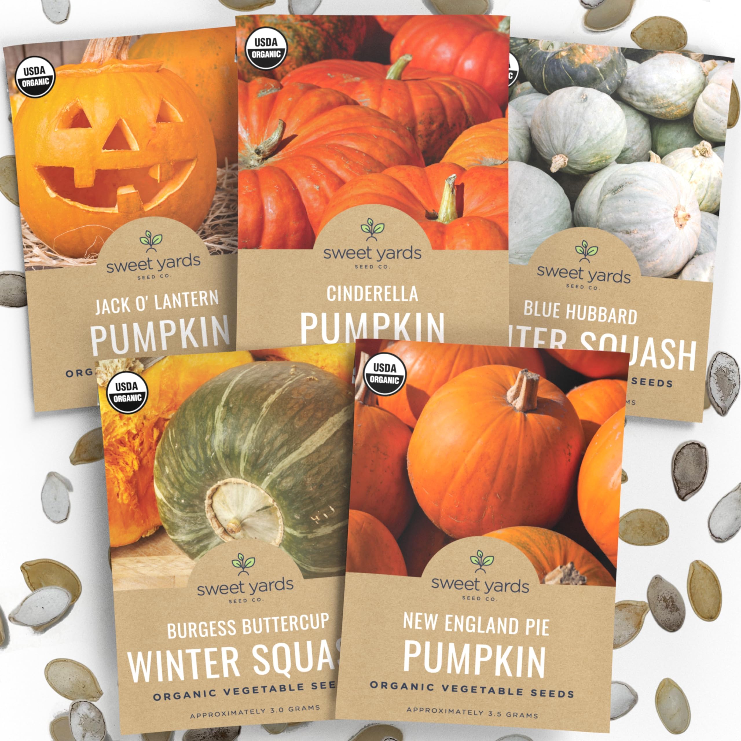 Amazon.com : Pumpkin Seeds Collection, 4 Heirloom Non-GMO Varieties ...