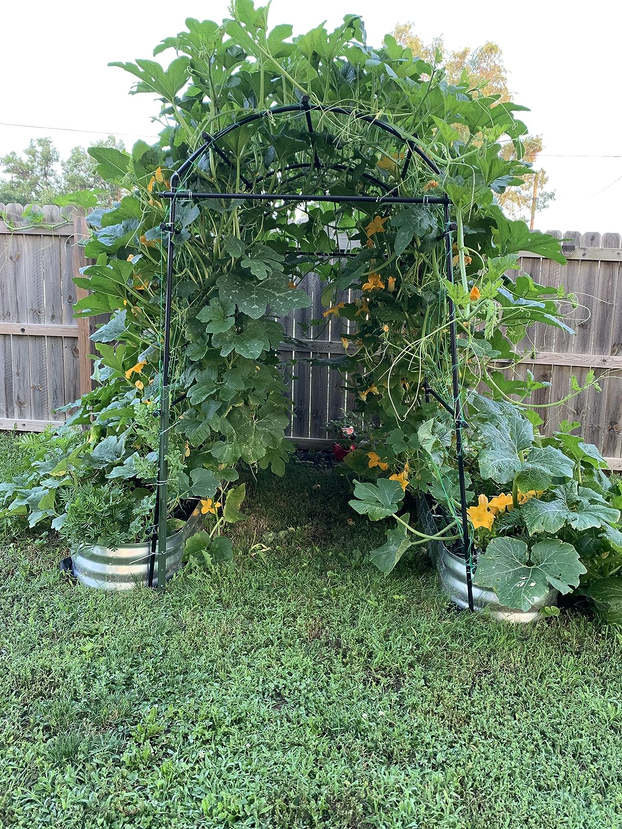 $8/mo - Finance 7Ft Garden Arch Trellis for Climbing Plants Outdoor ...