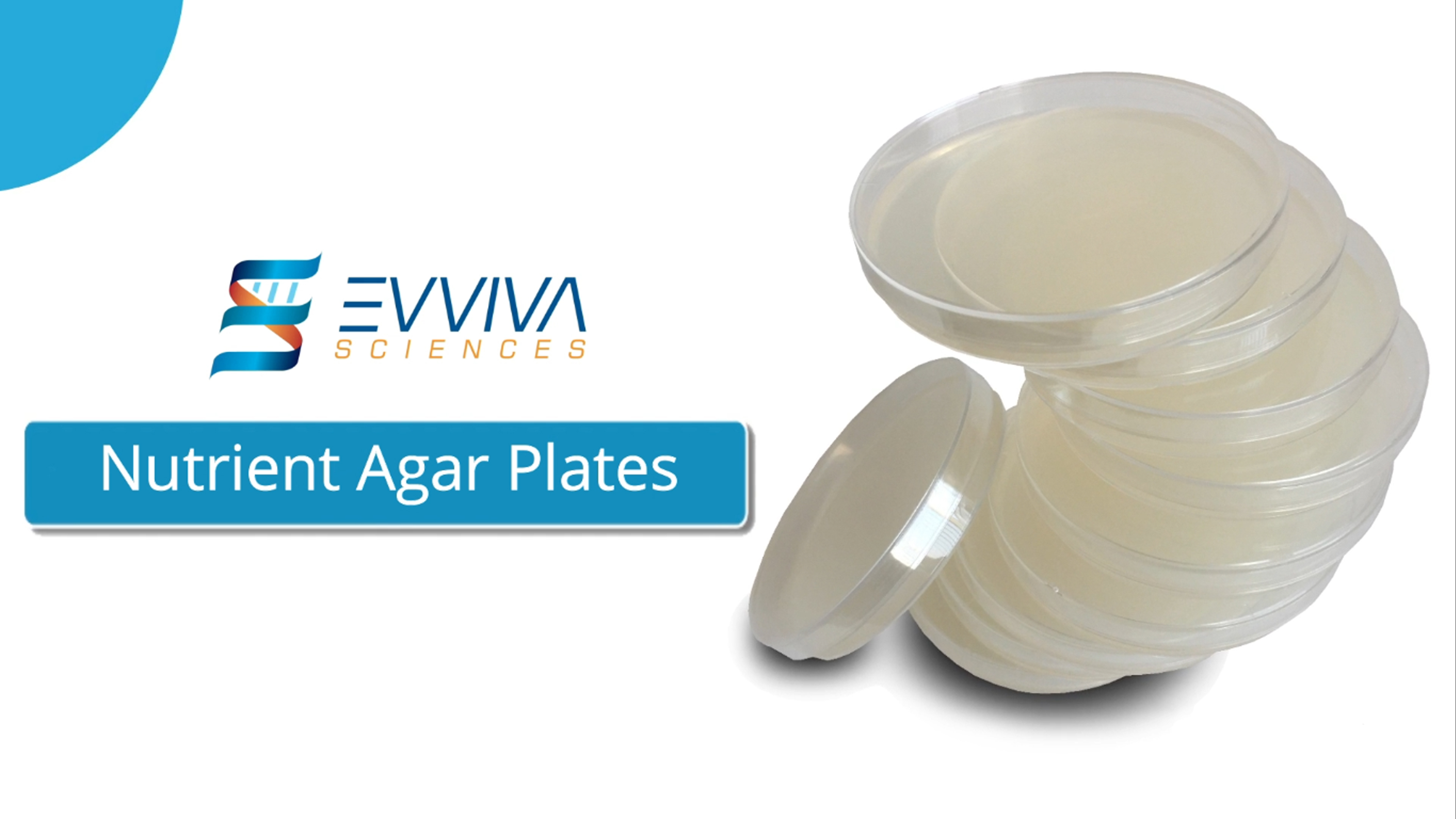 Petri Dishes With Lids Anlab™ Nutrient Science Project Kit, 10 Pre ...