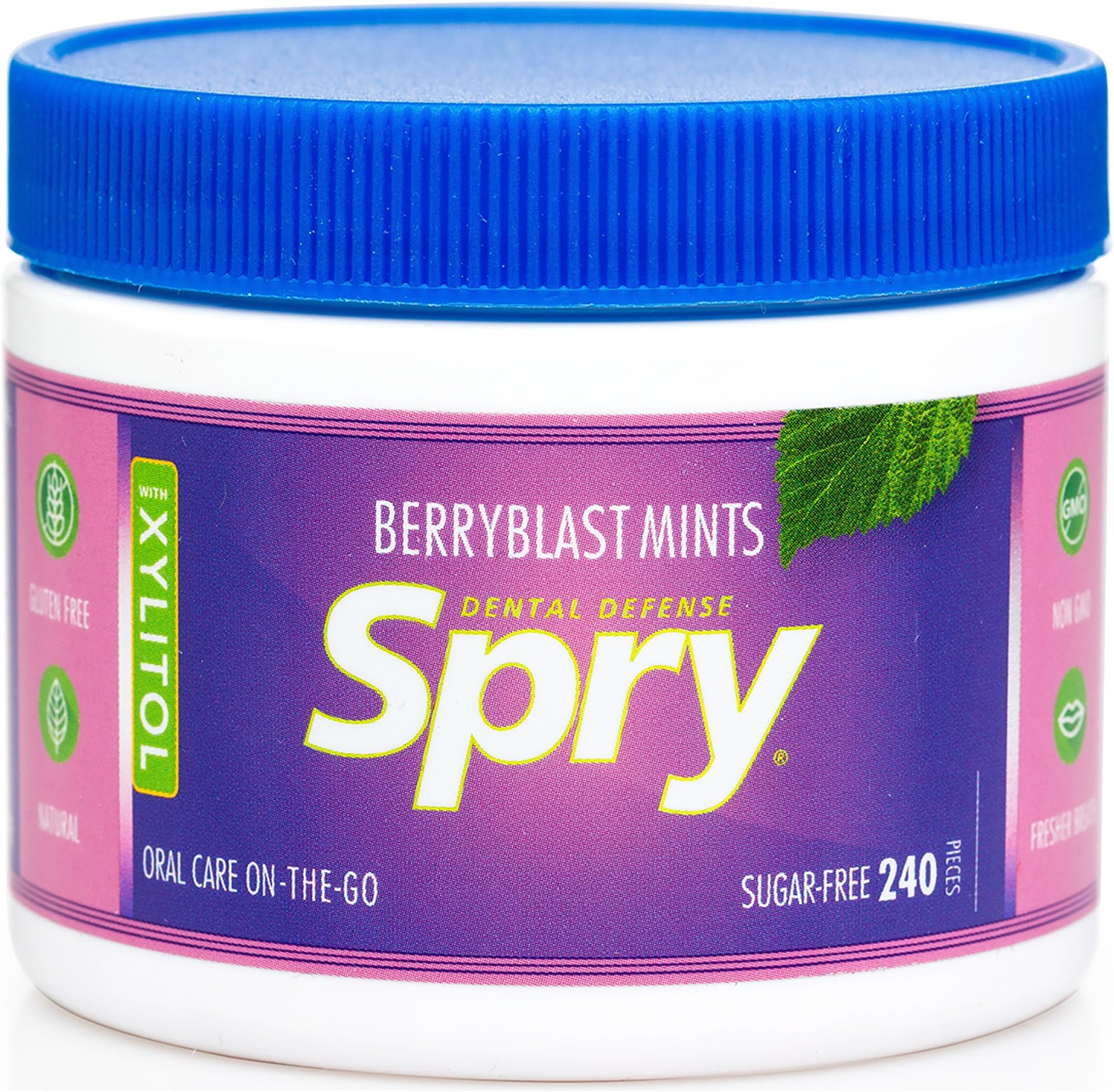 Amazon.com : Spry Xylitol Peppermint Sugar Free Candy - Breath Mints ...