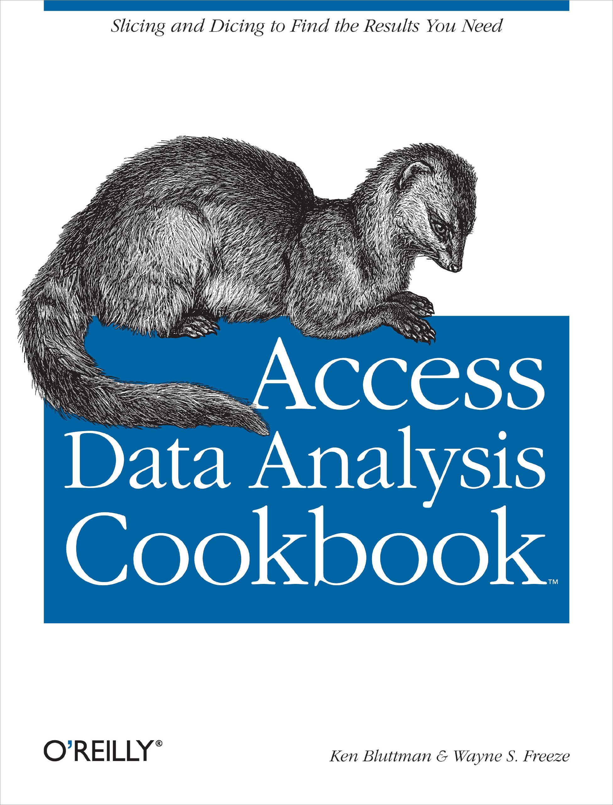 Access Data Analysis Cookbook: Slicing and Dicing to Find the Results You Need: Bluttman, Ken ...
