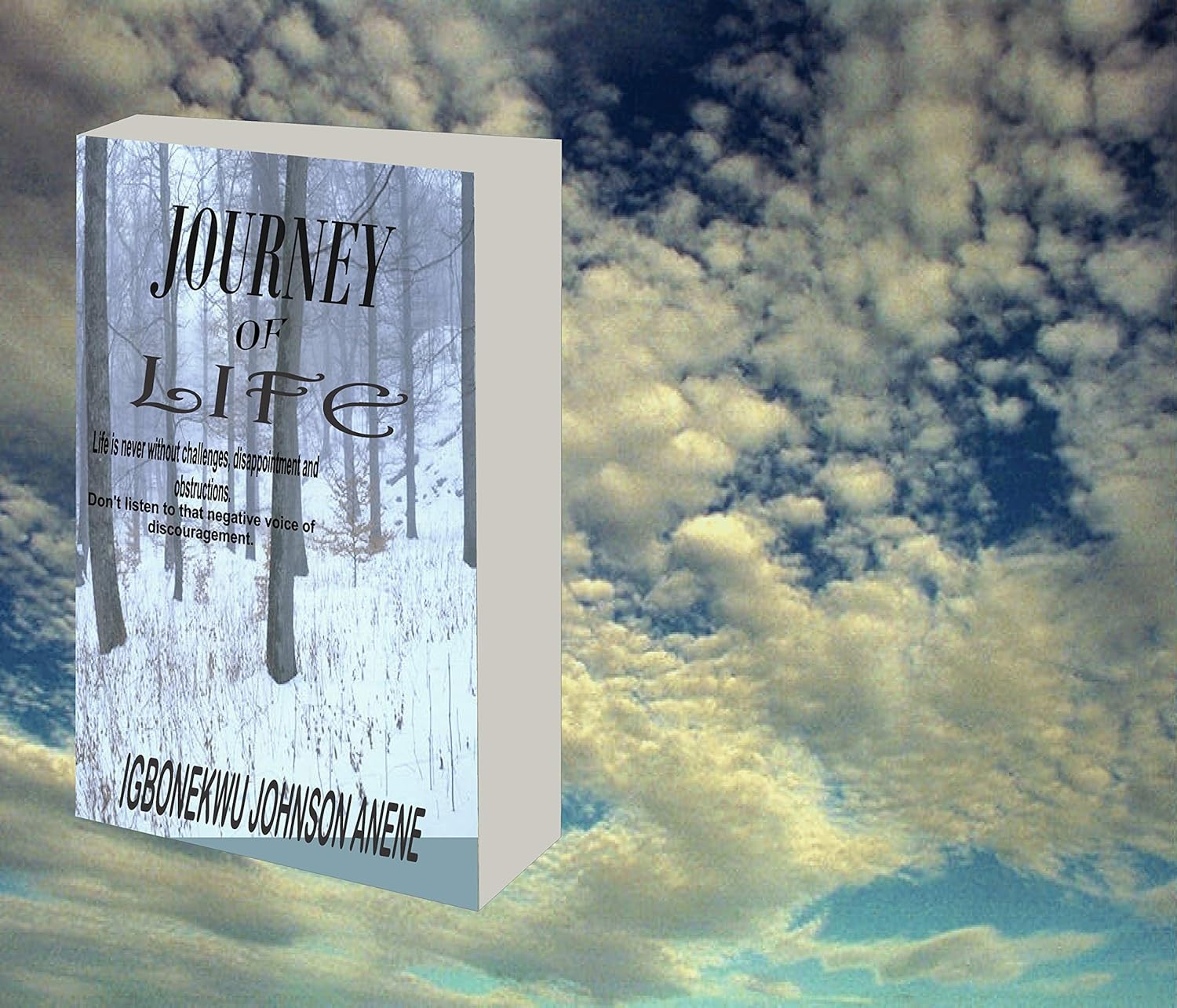 Amazon.com: JOURNEY OF LIFE: Life is never without challenges, disappointment and obstructions ...