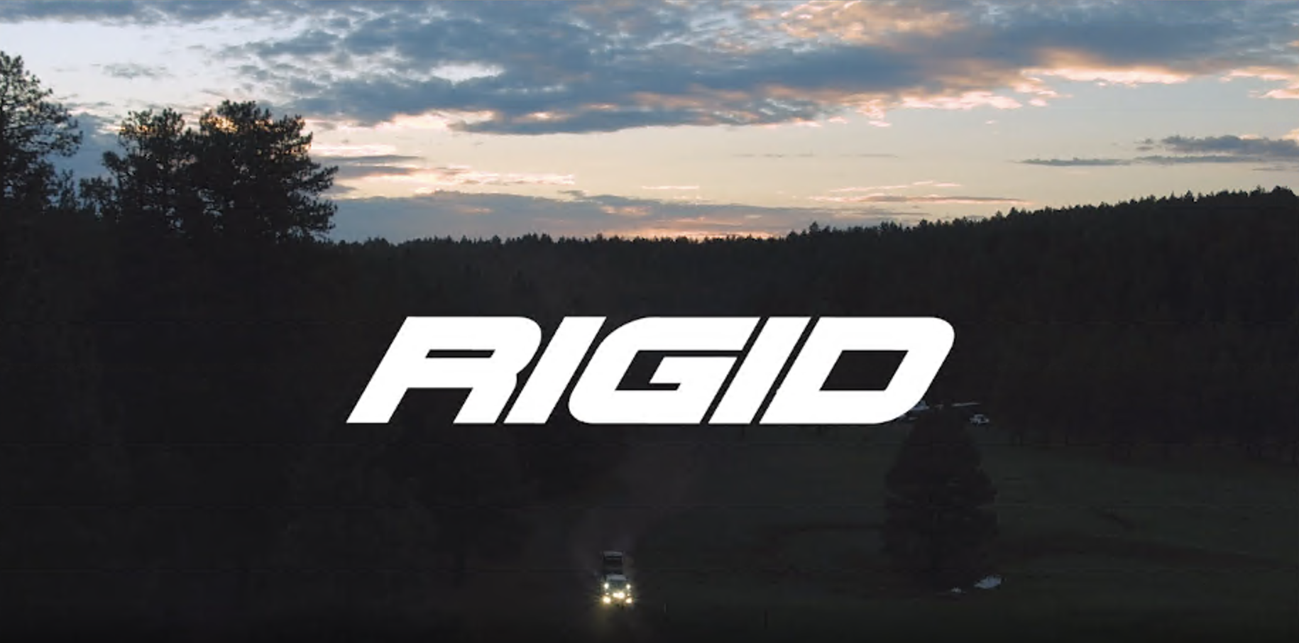 Rigid Lights Logo Logo Outline LG Sticker | Ricta Wheels Skate