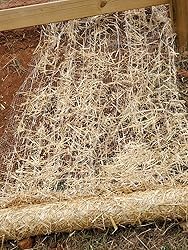 Amazon.com : American Excelsior Company Premier Straw Erosion Control ...