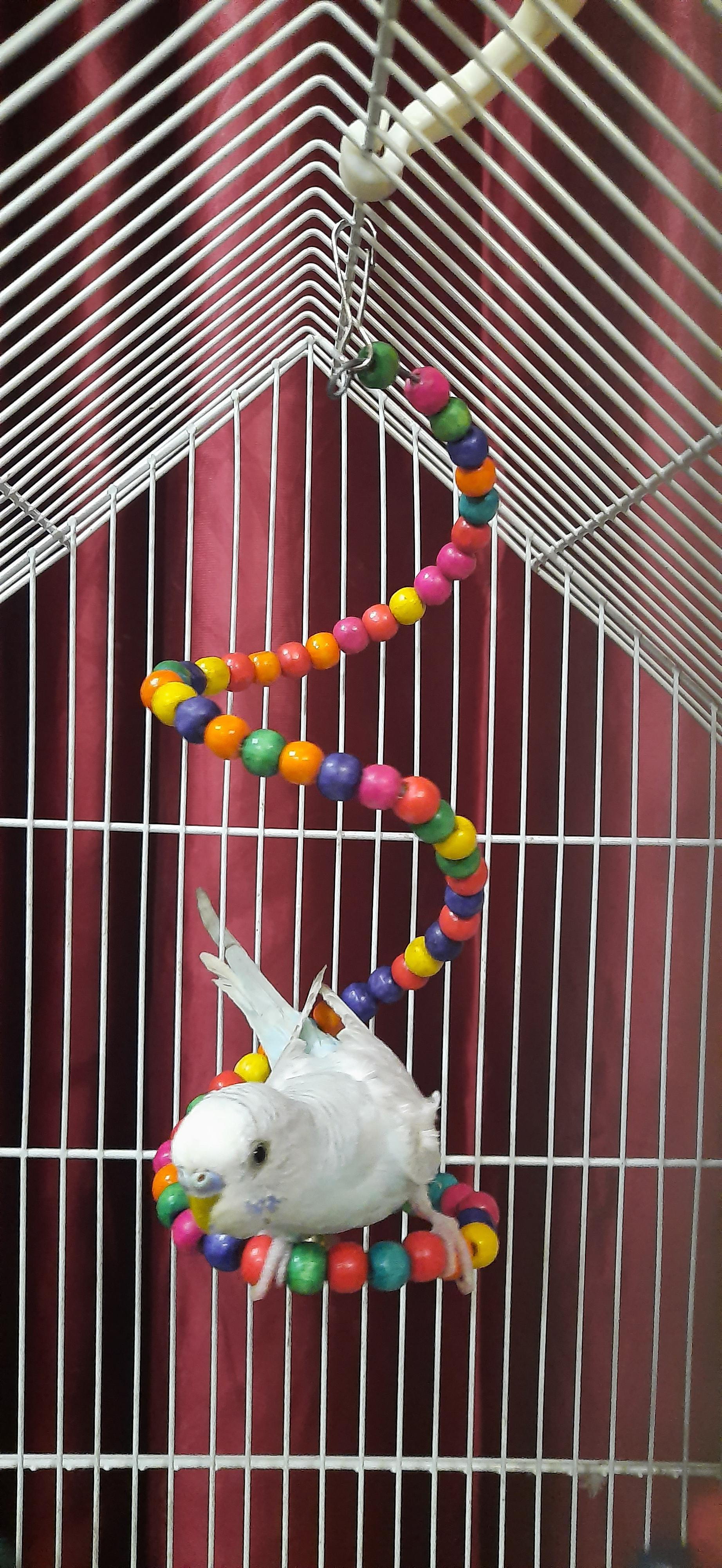 Sage Square Playful Natural Wood Bead Swing Flexible Ladder Toy (65cm ...